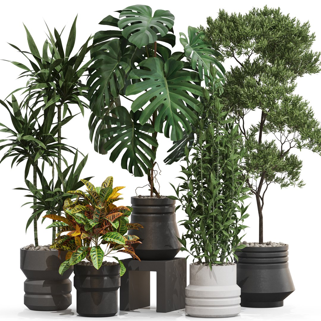 3D Plants Collection 721 Model - TurboSquid 1895100
