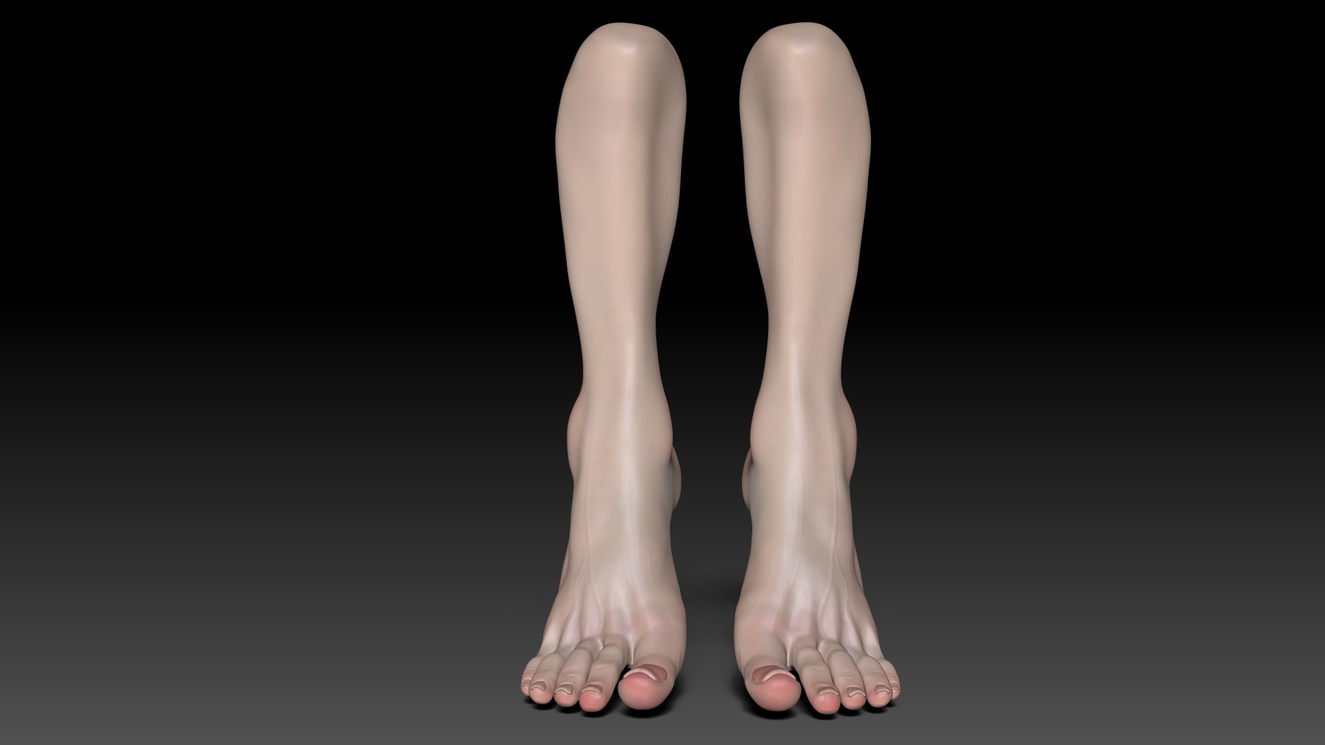 Female Pro Feet Heeled Shoes Sculpt Project 3D model - TurboSquid 2052491