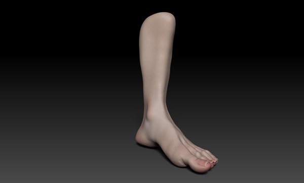 modelo 3d Female Pro Feet Heeled Shoes Sculpt Project - TurboSquid 2052491
