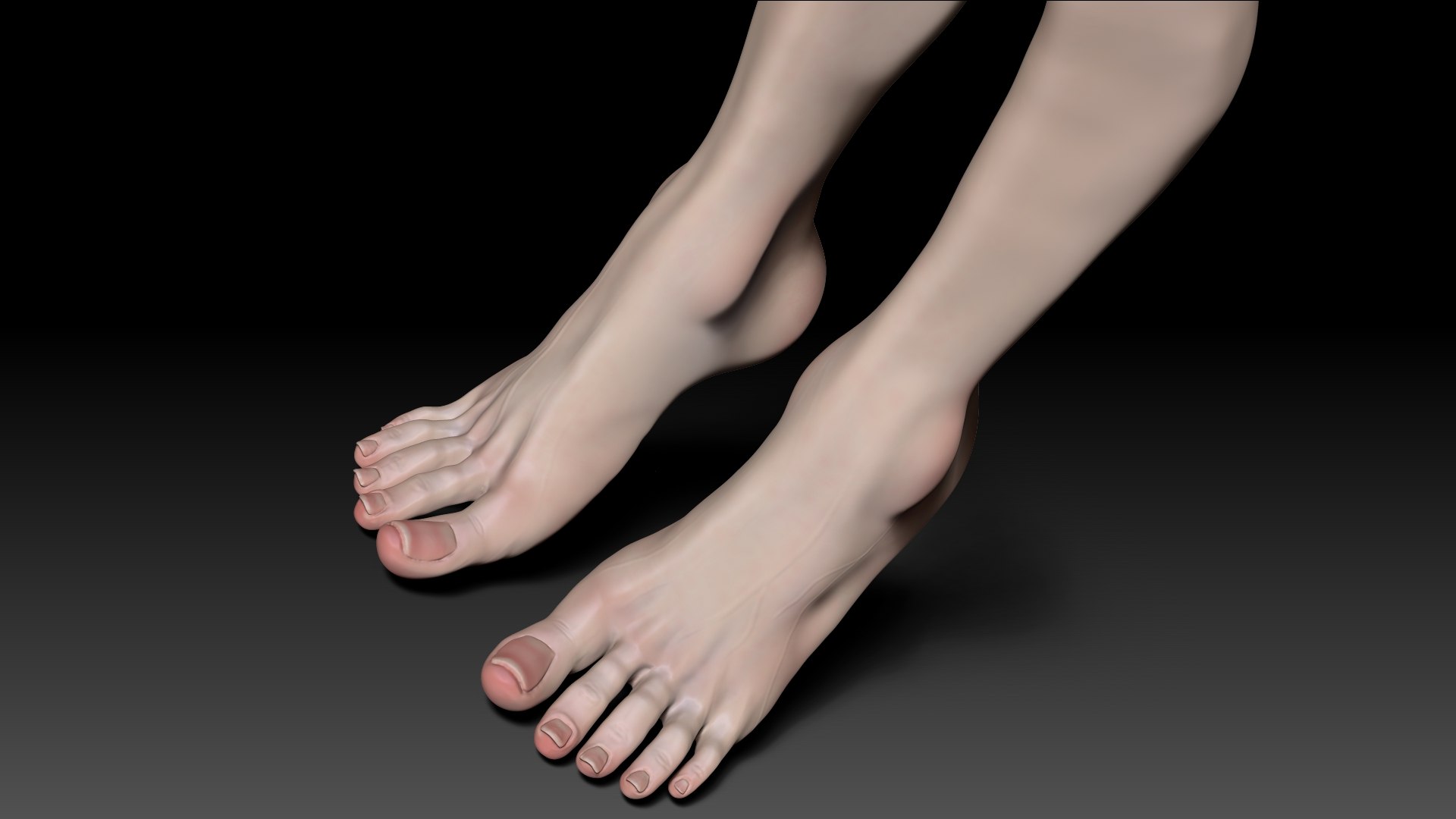 Female Pro Feet Heeled Shoes Sculpt Project 3D model - TurboSquid 2052491