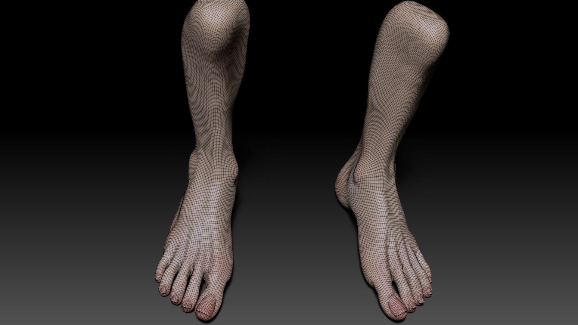 Female Pro Feet Heeled Shoes Sculpt Project 3D model - TurboSquid 2052491