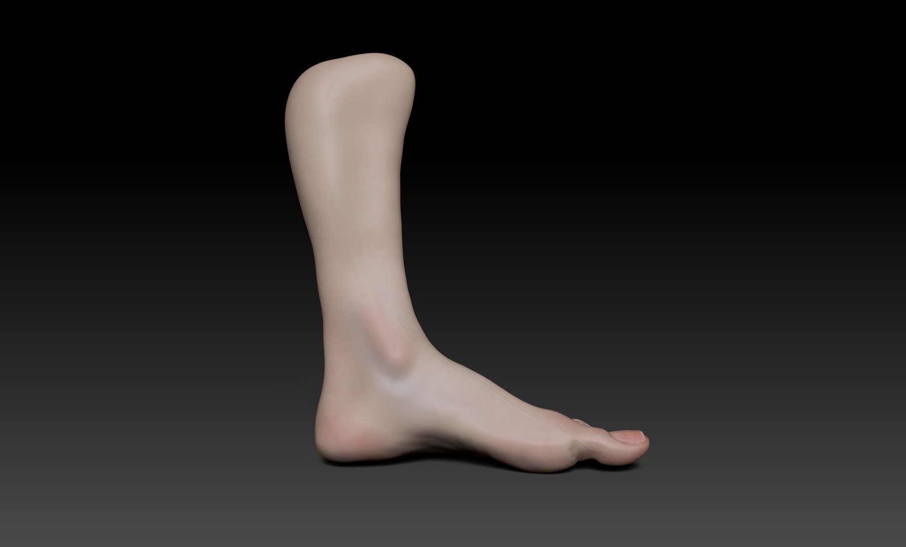 Female Pro Feet Heeled Shoes Sculpt Project 3D model - TurboSquid 2052491
