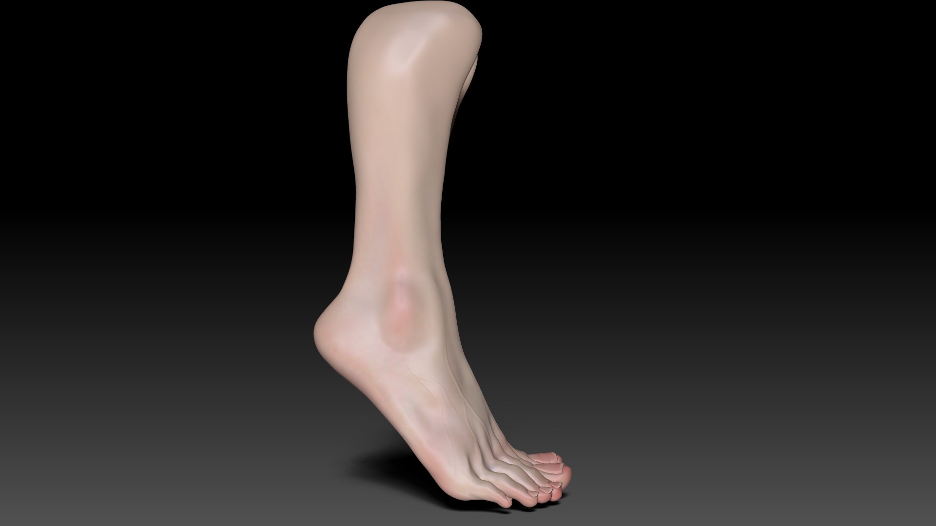 Female Pro Feet Heeled Shoes Sculpt Project 3D model - TurboSquid 2052491