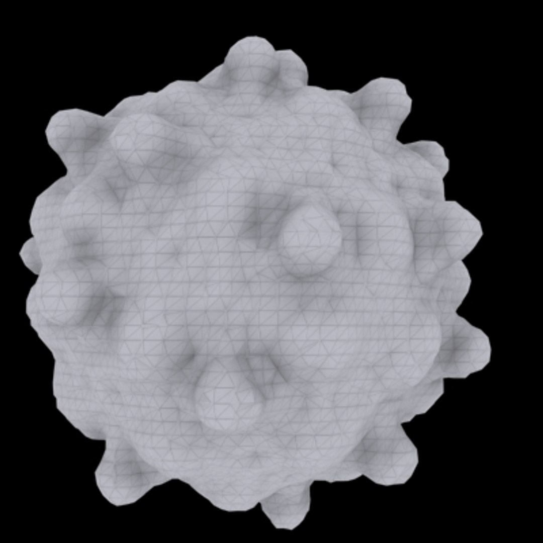 3d Hepatitis C Virus Model