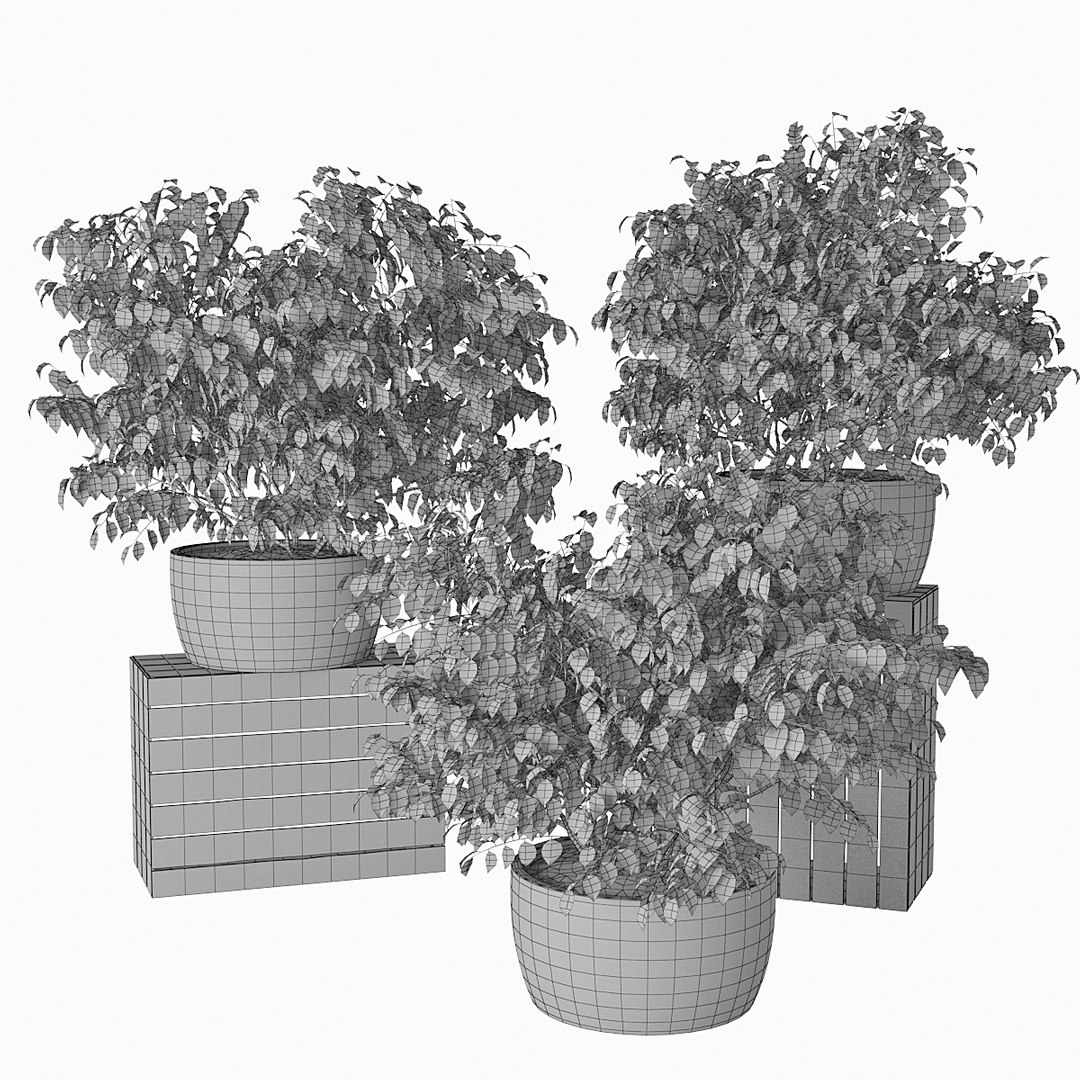 Small plant 3D model - TurboSquid 1517383