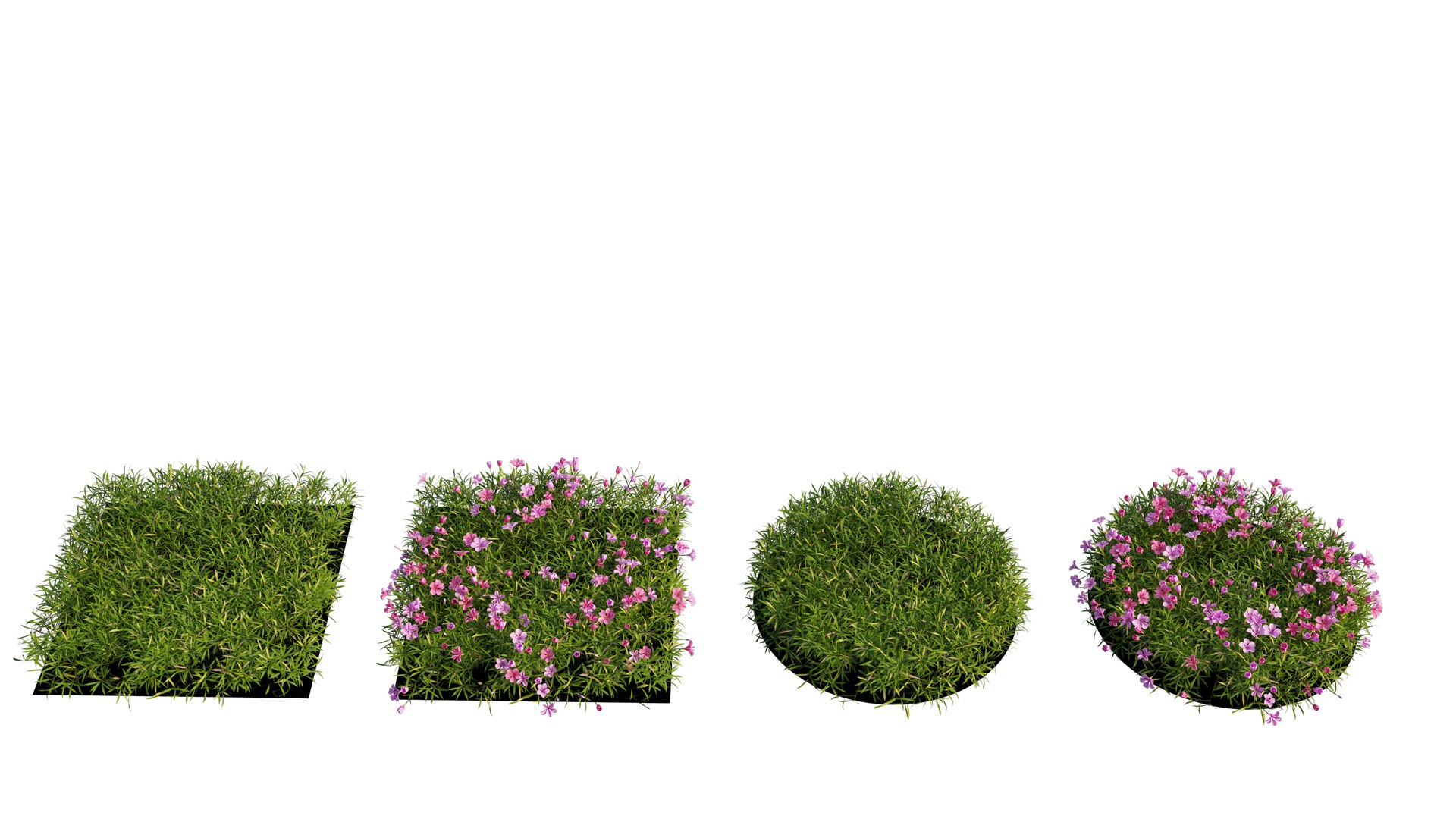 3D Plant Flower Set 05 - TurboSquid 1533595