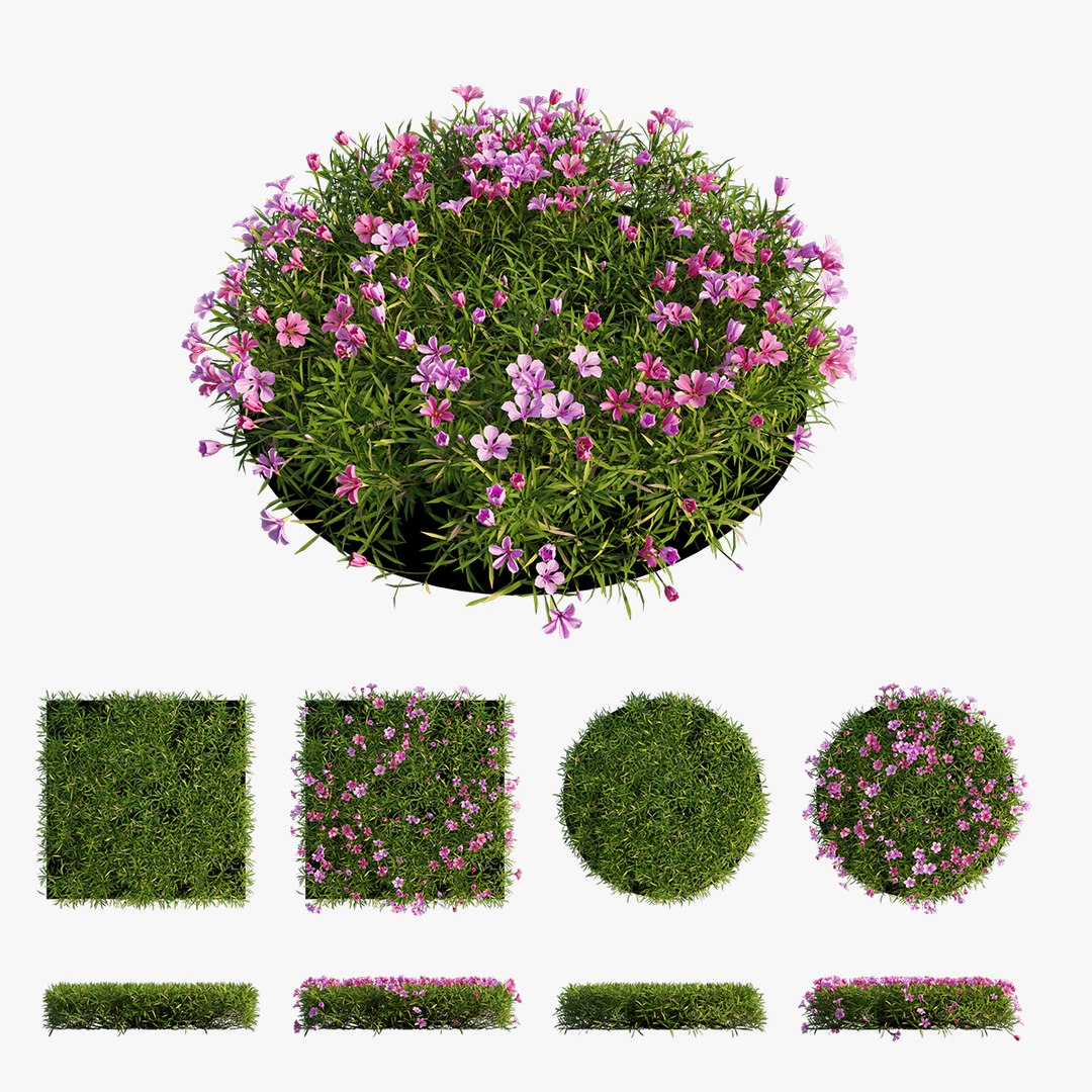 3D Plant Flower Set 05 - TurboSquid 1533595