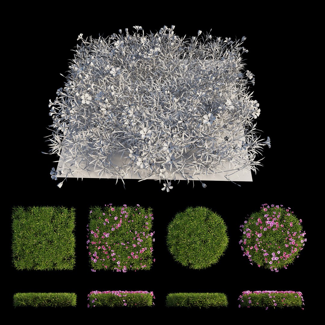 3D Plant Flower Set 05 - TurboSquid 1533595