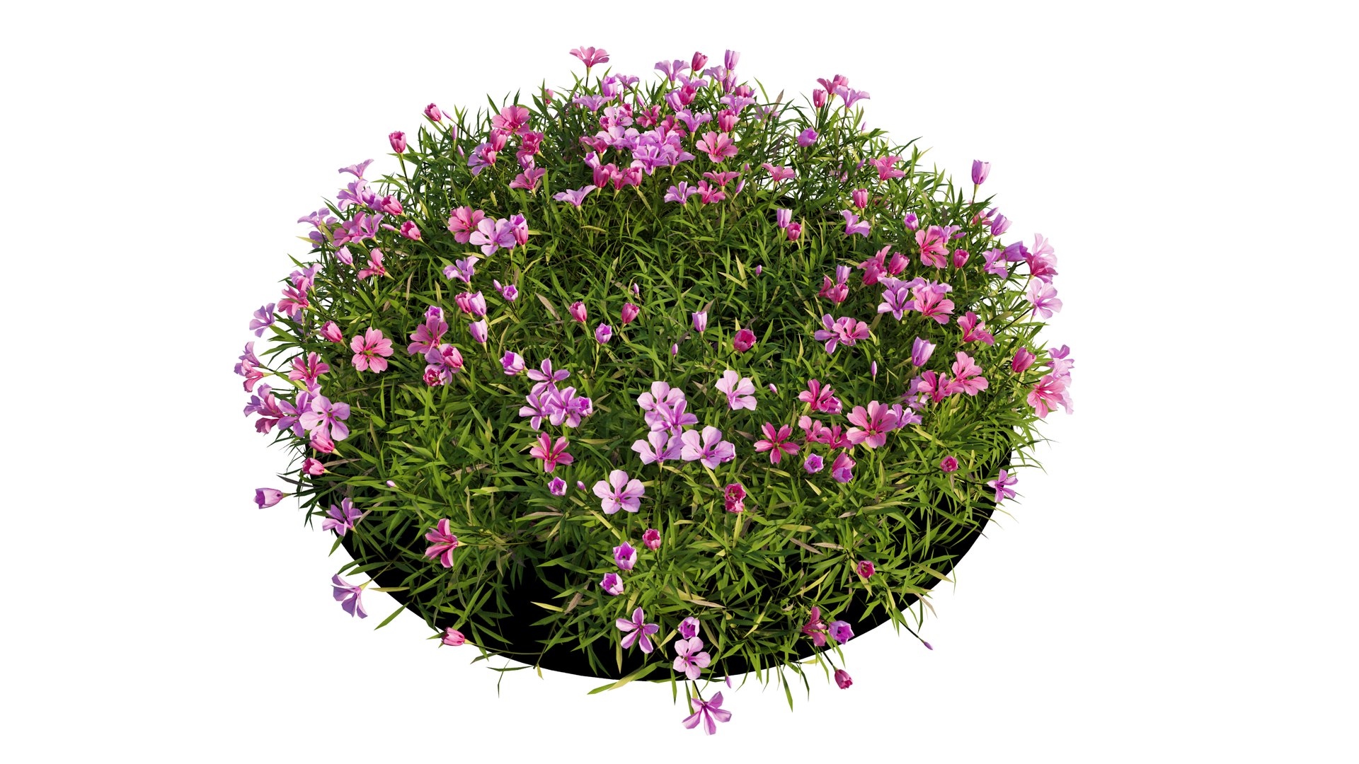 3D Plant Flower Set 05 - TurboSquid 1533595
