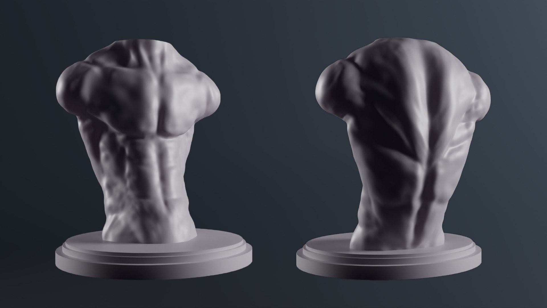 Torsos 3D Model - TurboSquid 2004493