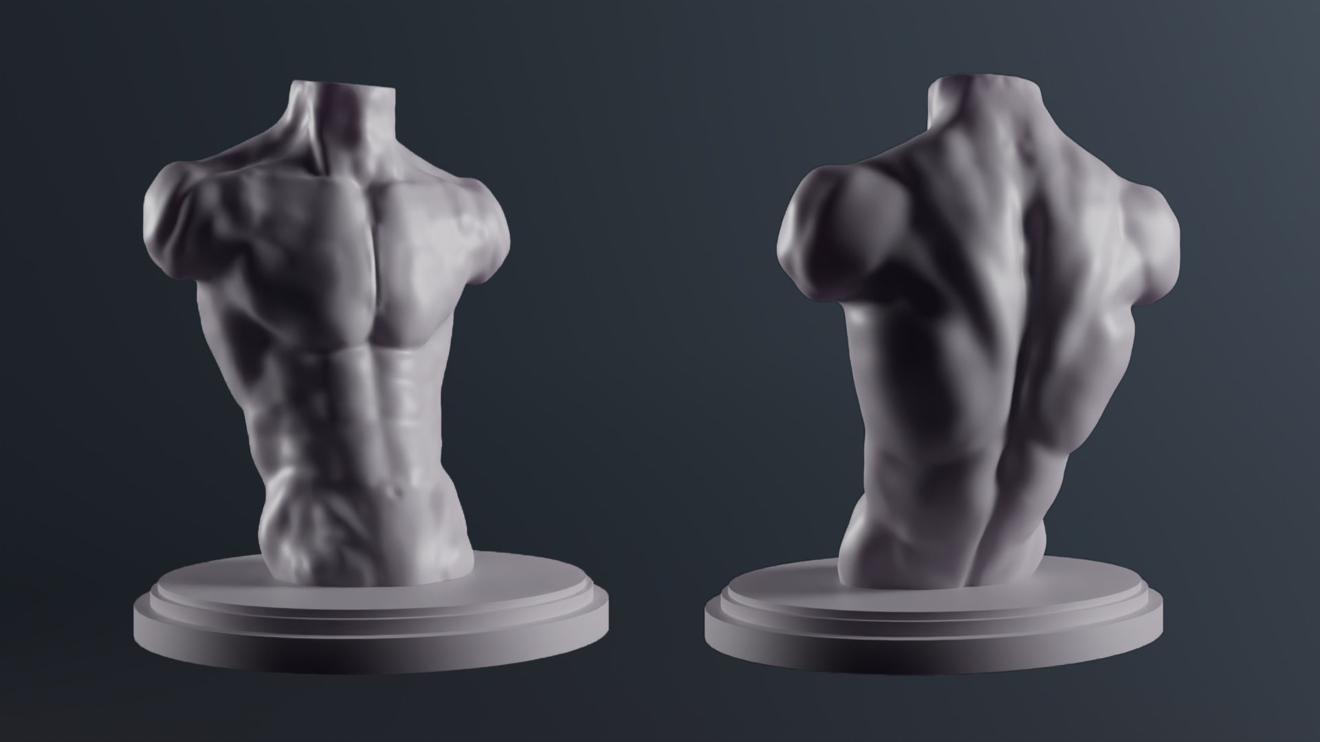 Torsos 3D Model - TurboSquid 2004493