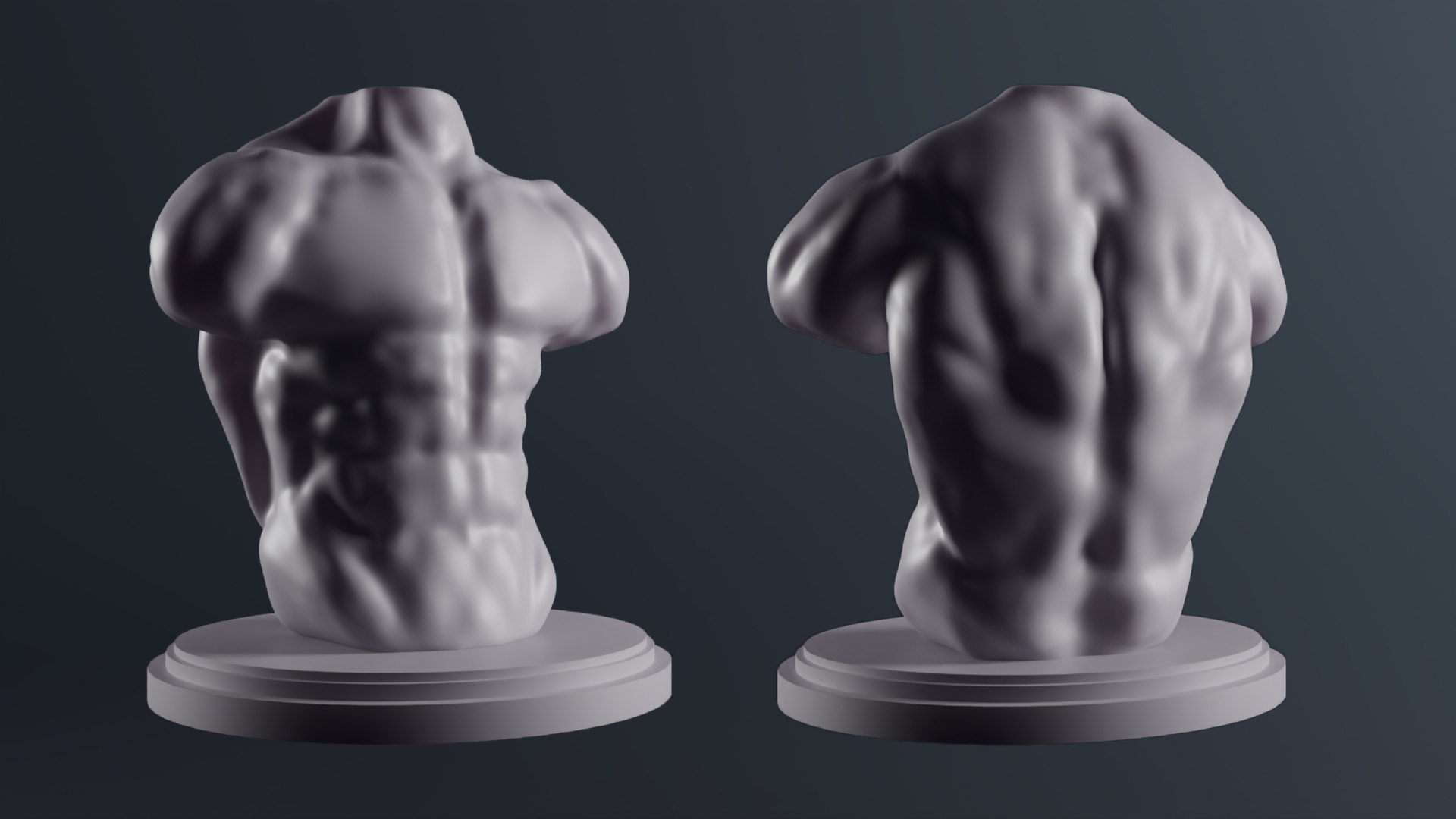 Torsos 3D Model - TurboSquid 2004493