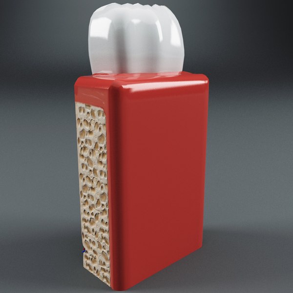 tooth anatomy 3d max