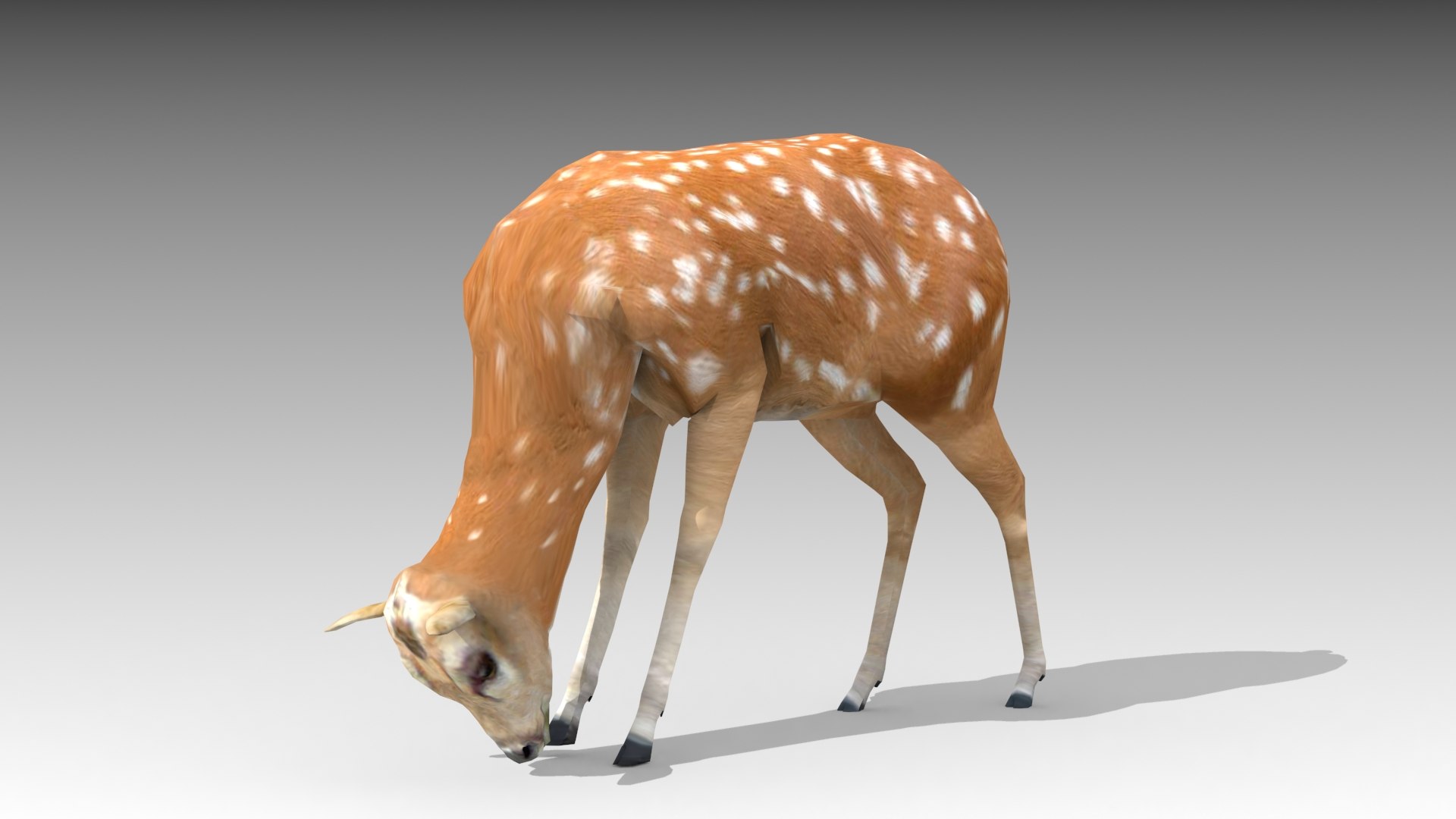 Female Deer 3D - TurboSquid 1283378