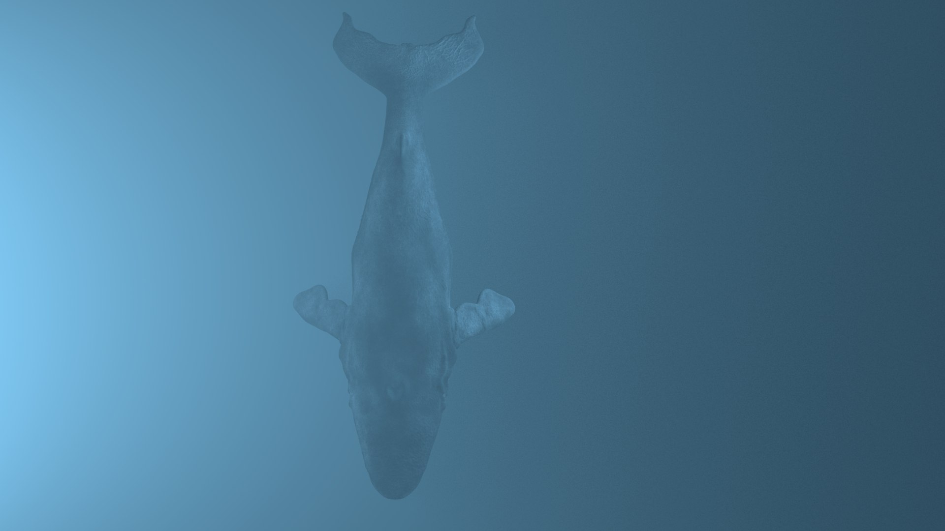 3D Blue Whale For Game - TurboSquid 2188607