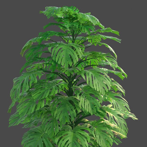 Free Blender Leaf Models | TurboSquid