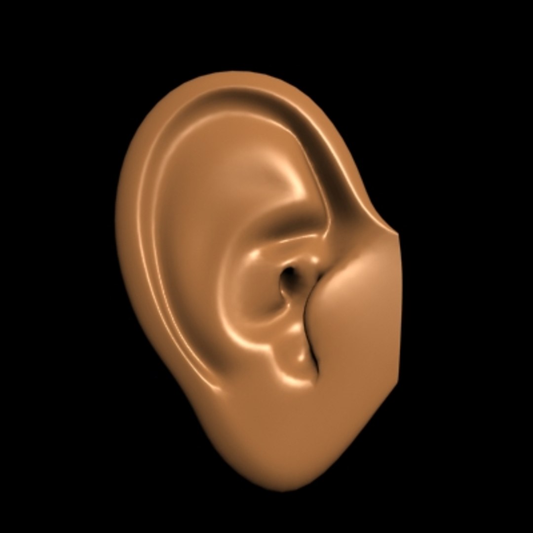 ear 3d max