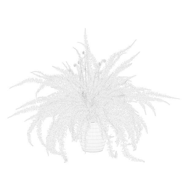 3D fern plant - TurboSquid 1624456