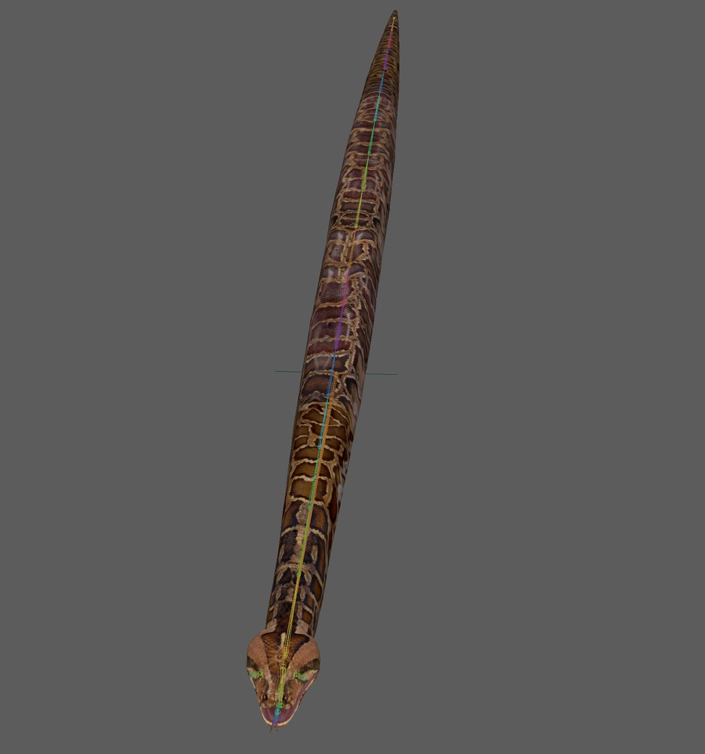 Burmese Python Snake 3D model - TurboSquid 2179579