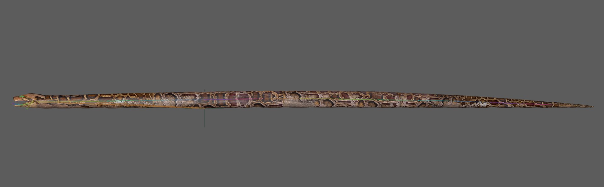 Burmese Python Snake 3D model - TurboSquid 2179579