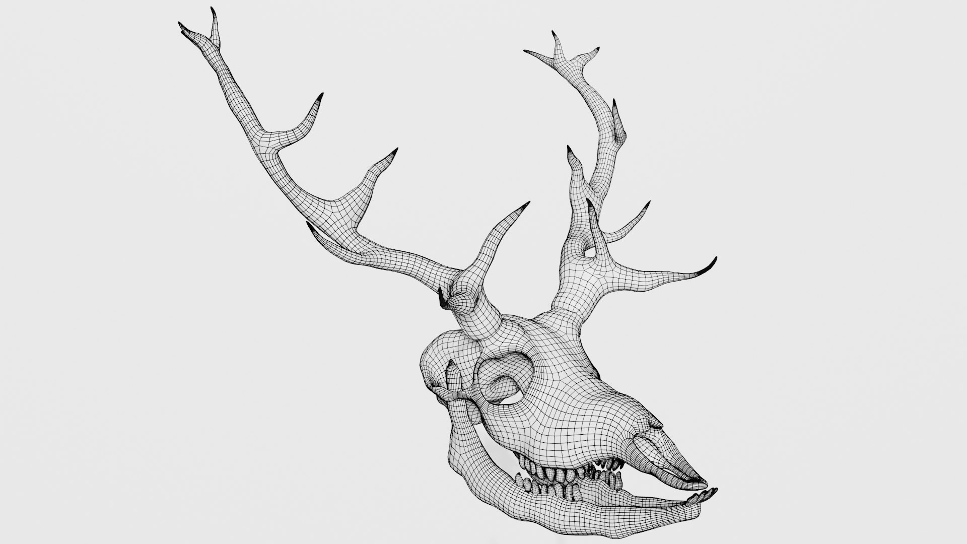 3D Elk Skull Model - TurboSquid 1983383