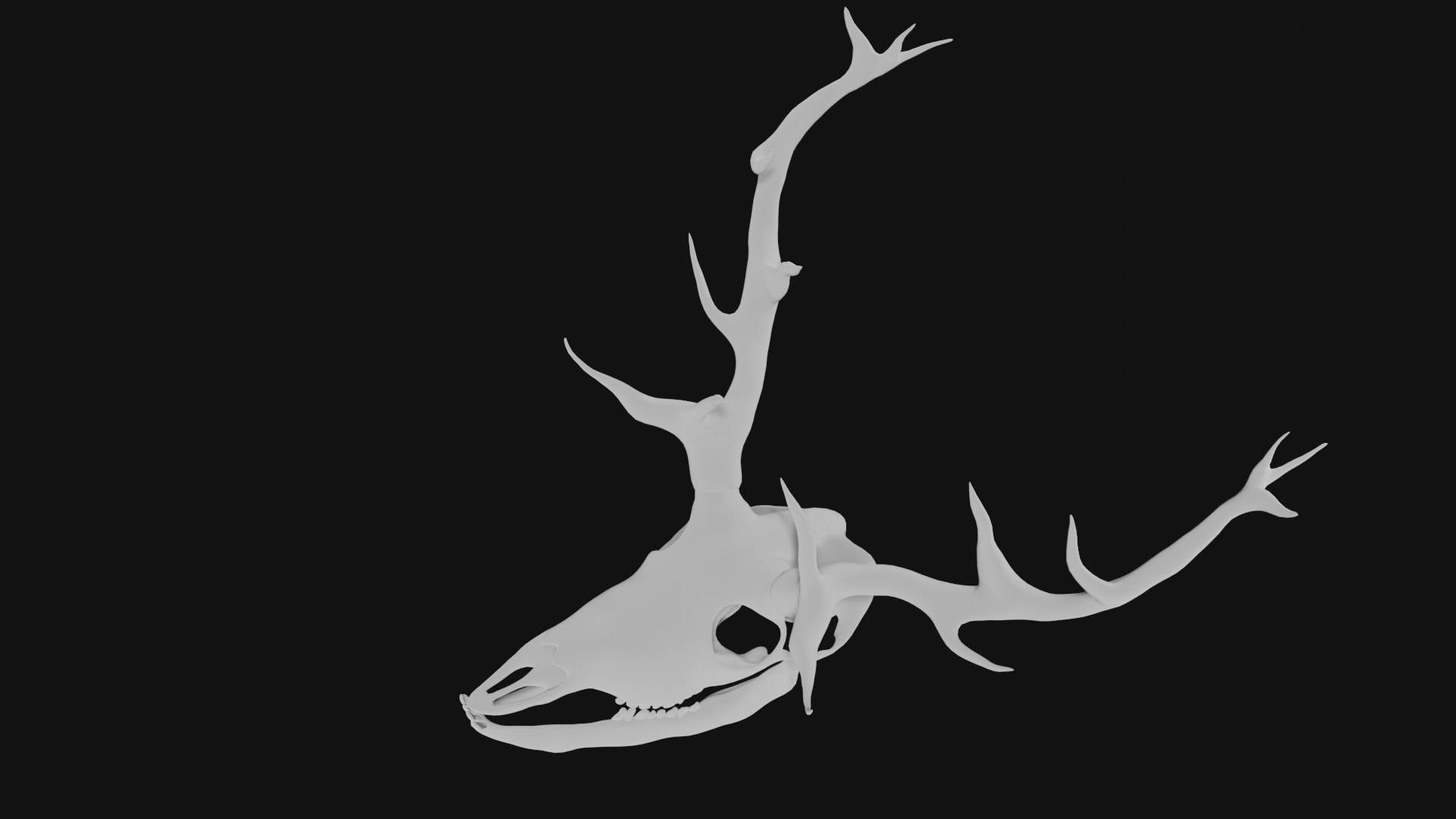 3D Elk Skull Model - TurboSquid 1983383