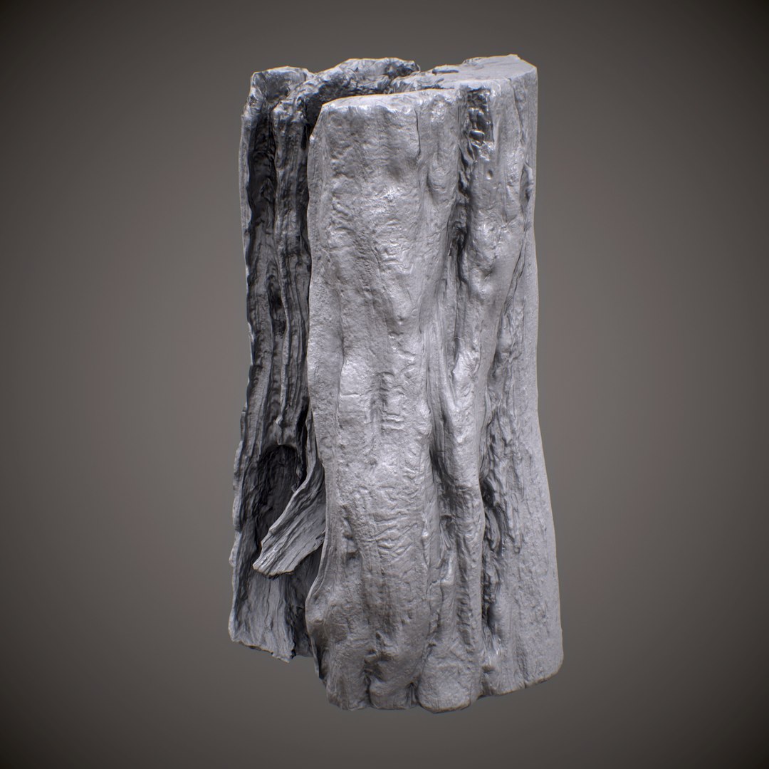 Scan Tree Model - TurboSquid 1256069