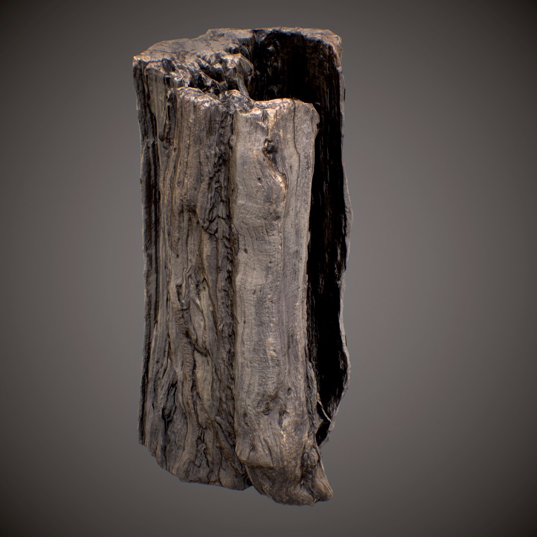 Scan Tree Model - TurboSquid 1256069