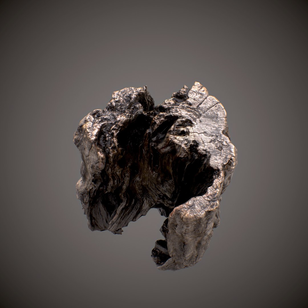 Scan Tree Model - TurboSquid 1256069