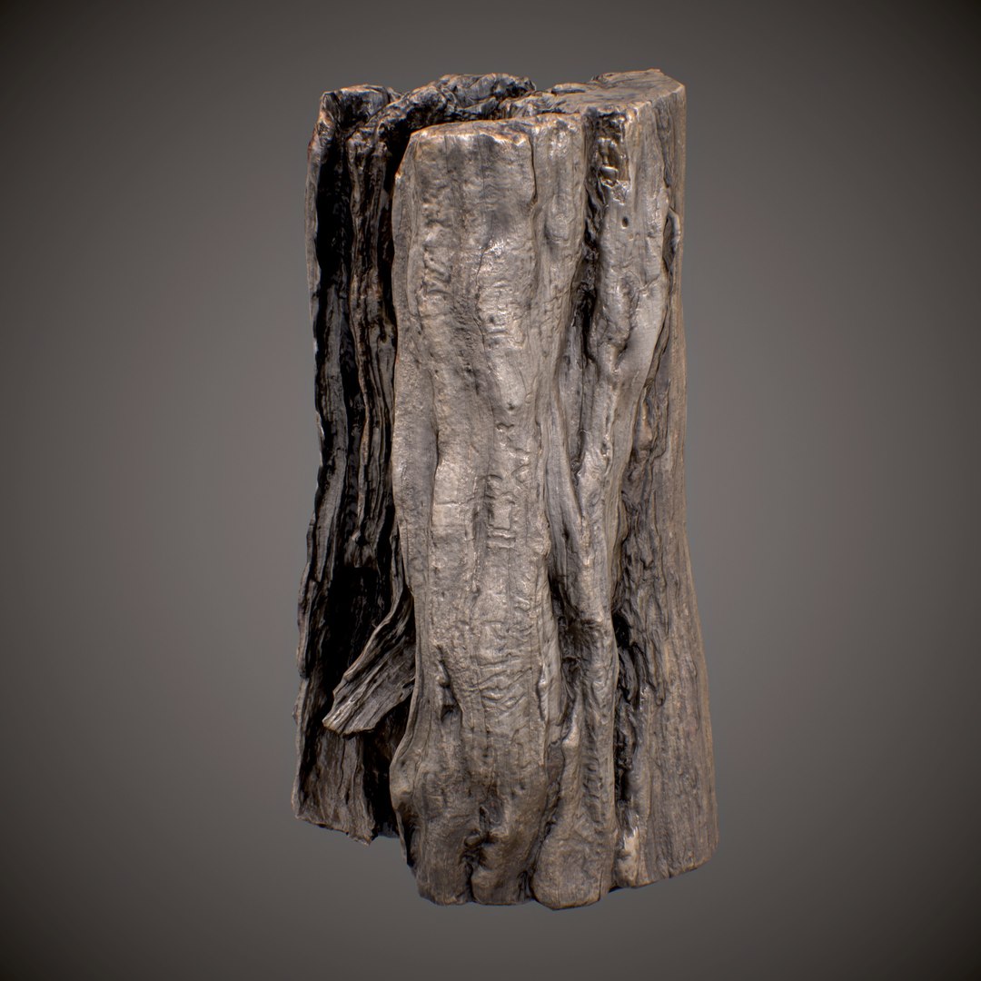 Scan Tree Model - TurboSquid 1256069