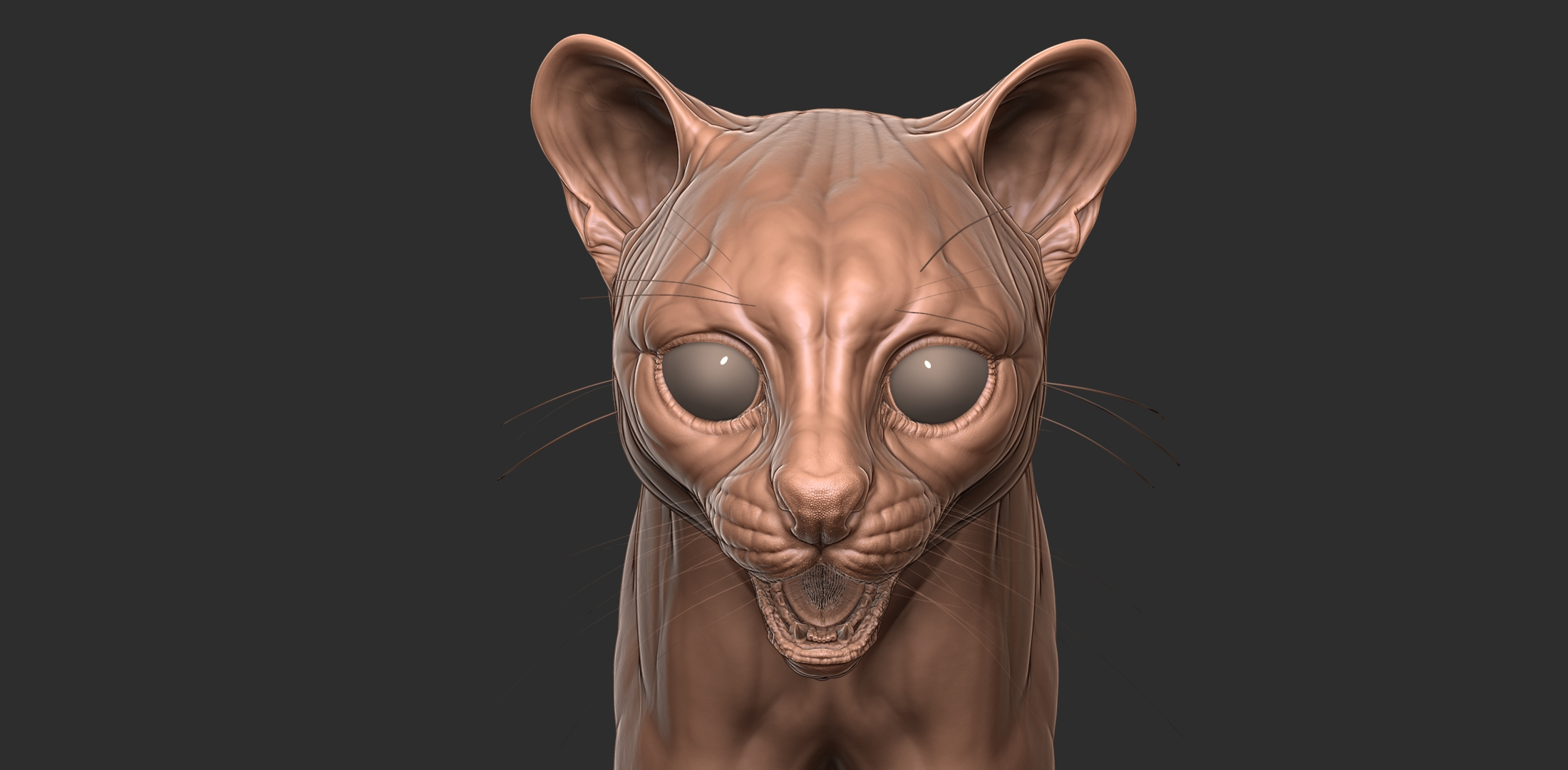 modelo 3d Escultura Zbrush de Margay Cat completamente detallada ...