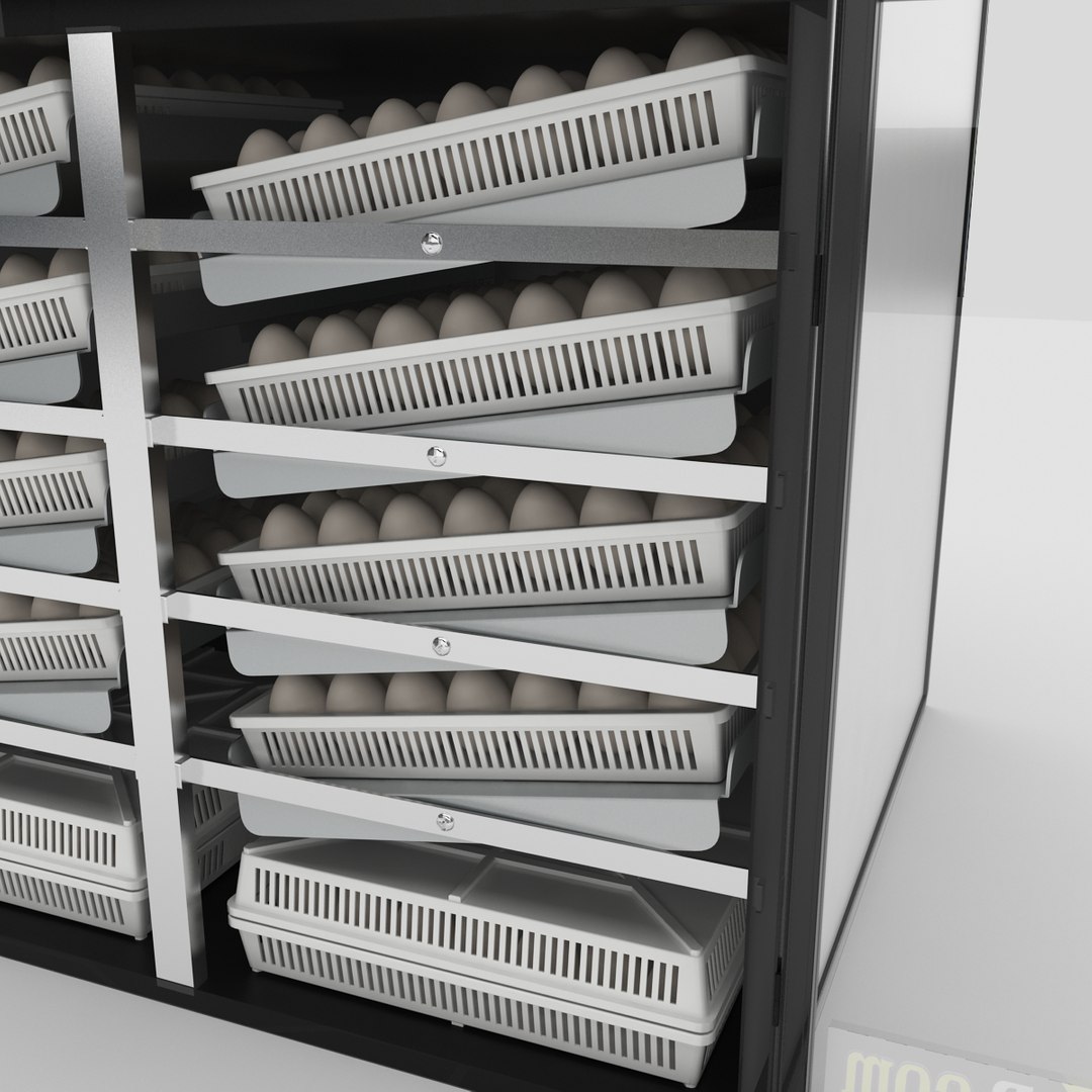3d Model Egg Incubator