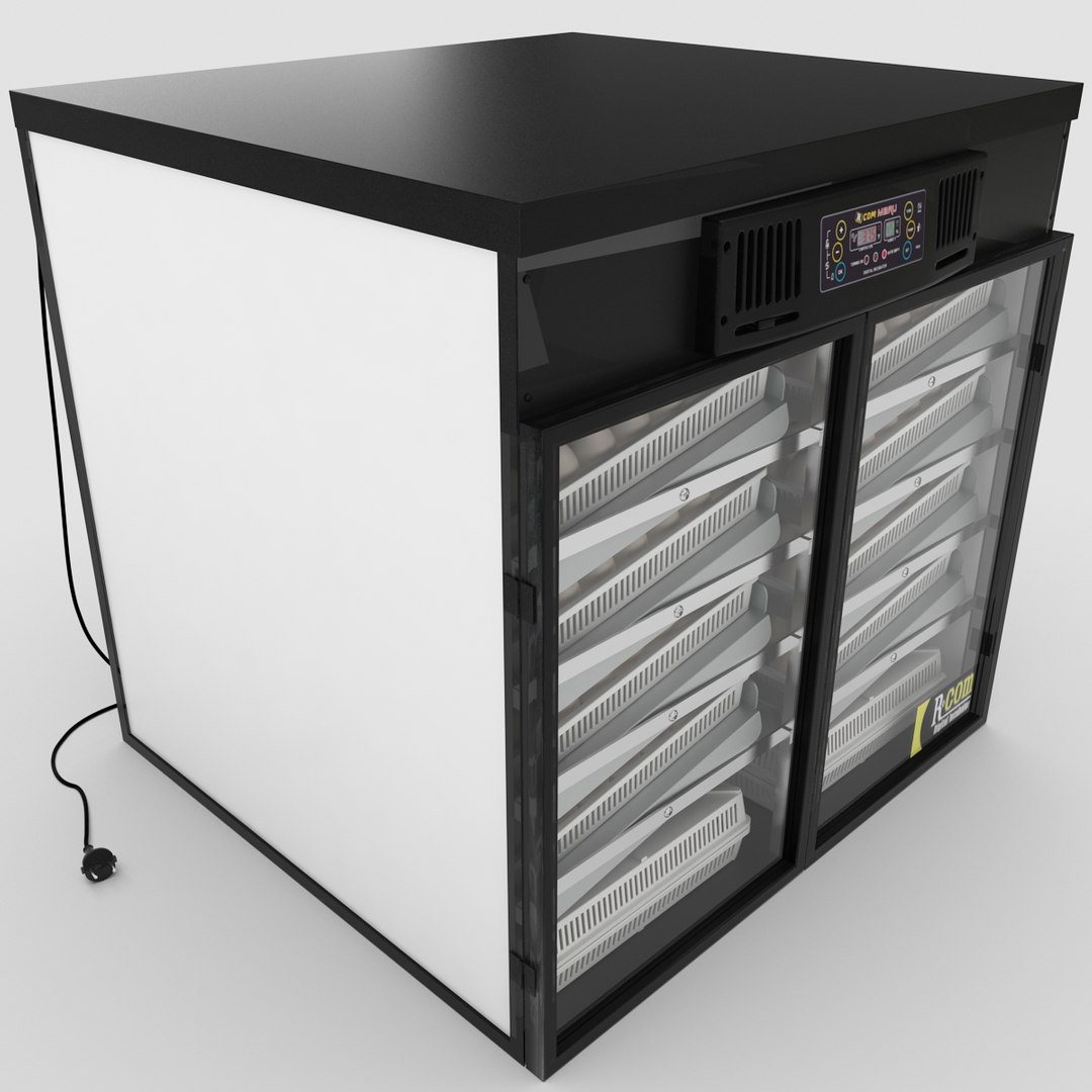 3d Model Egg Incubator
