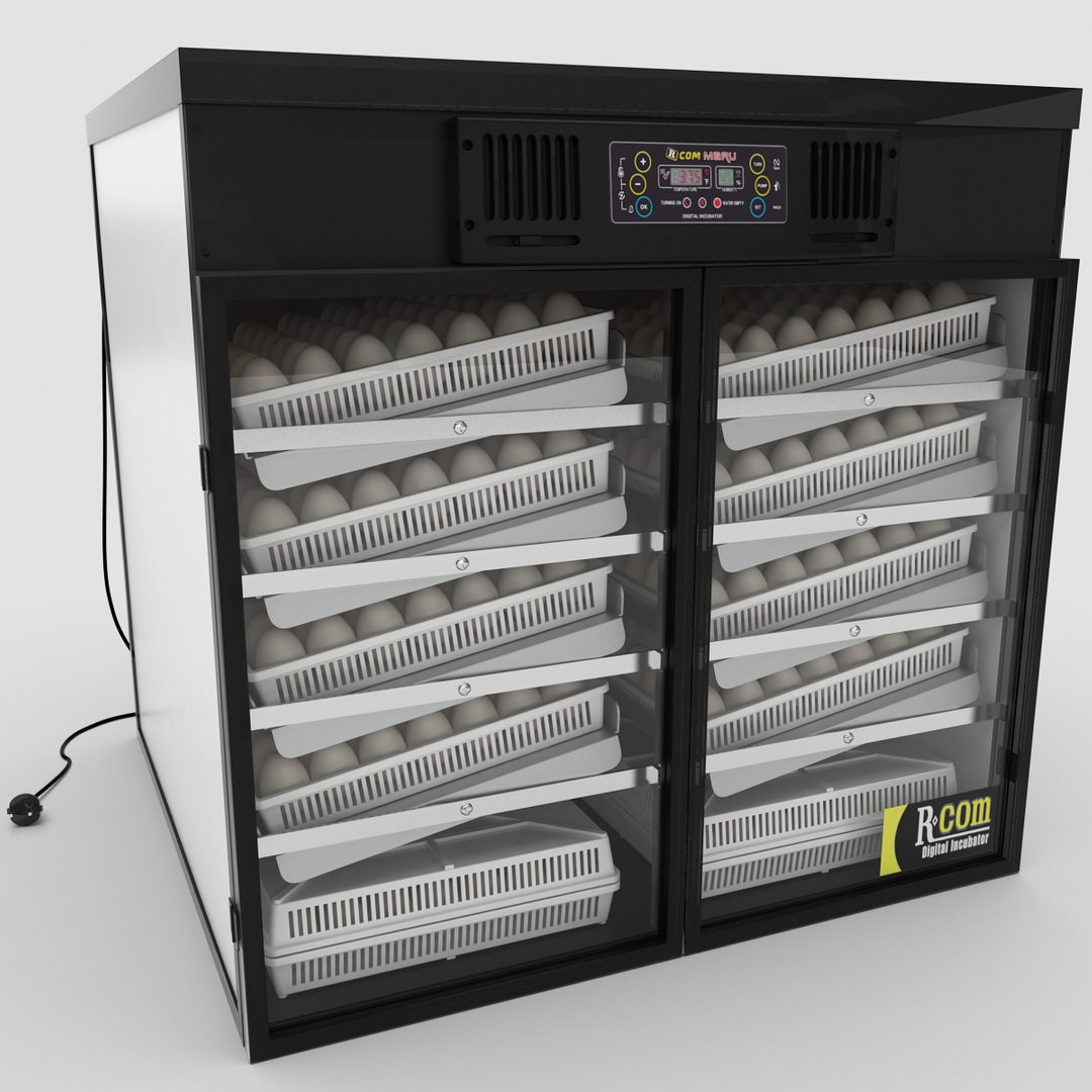 3d model egg incubator