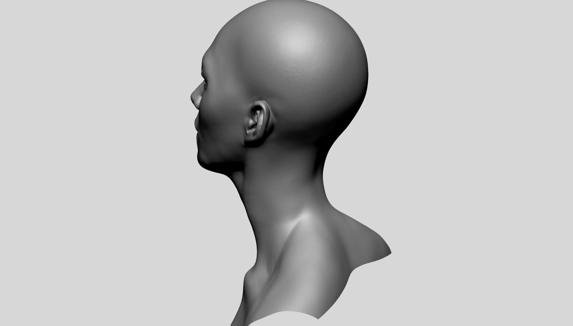 Female Head Basemesh D 3D Model - TurboSquid 2198786