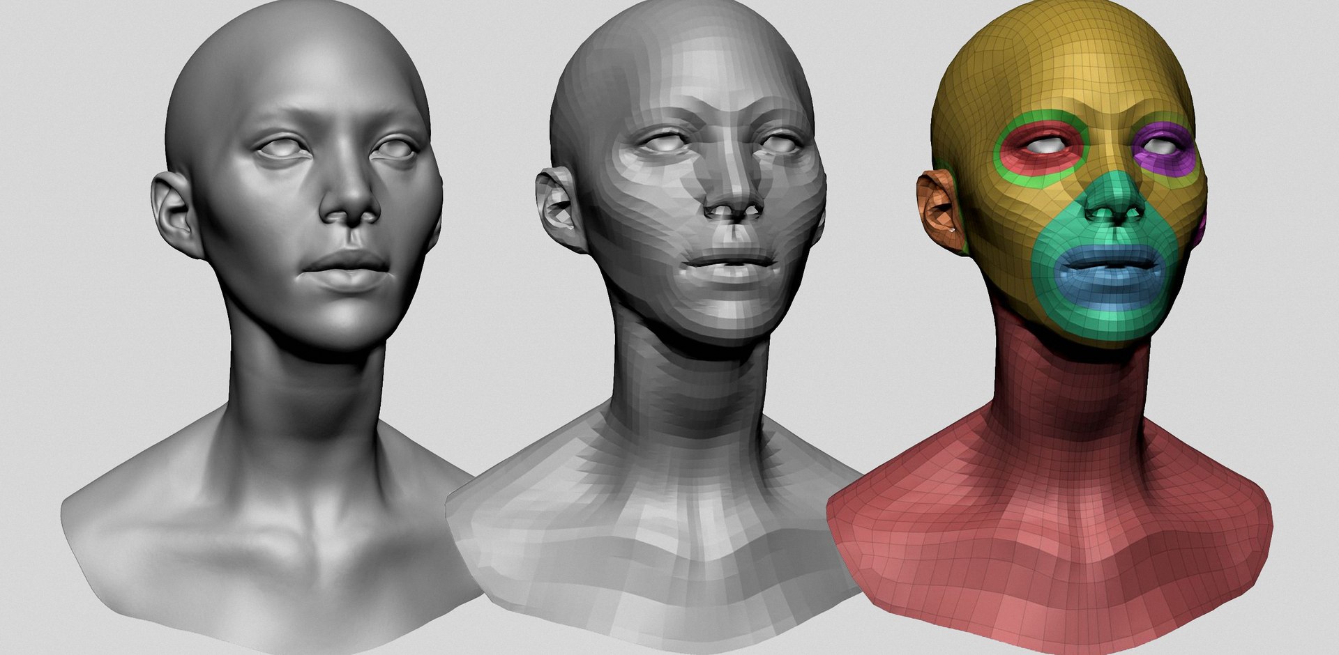 Female Head Basemesh D 3D Model - TurboSquid 2198786