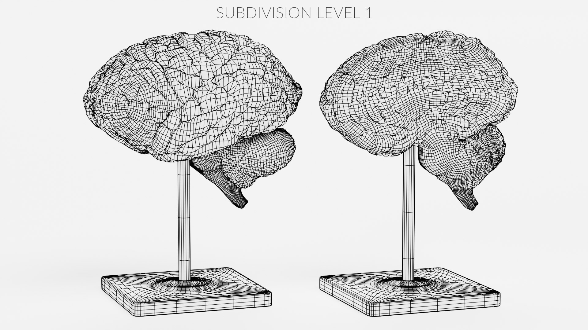 3D Brain Models - TurboSquid 2025129