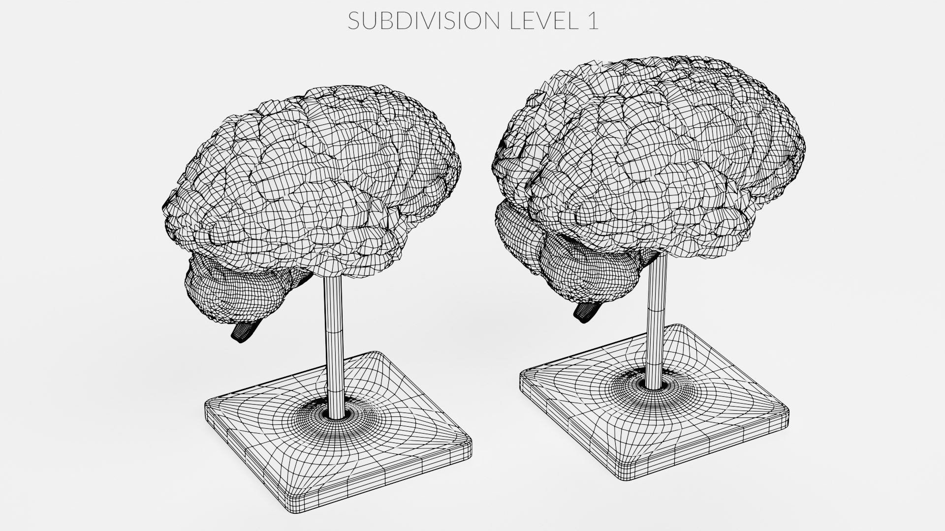 3D Brain Models - TurboSquid 2025129