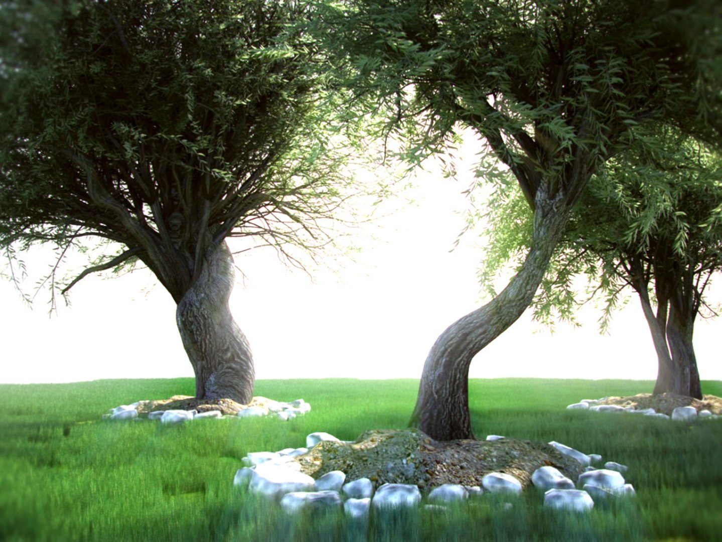 Tree Animation Olea Studio 3d Obj