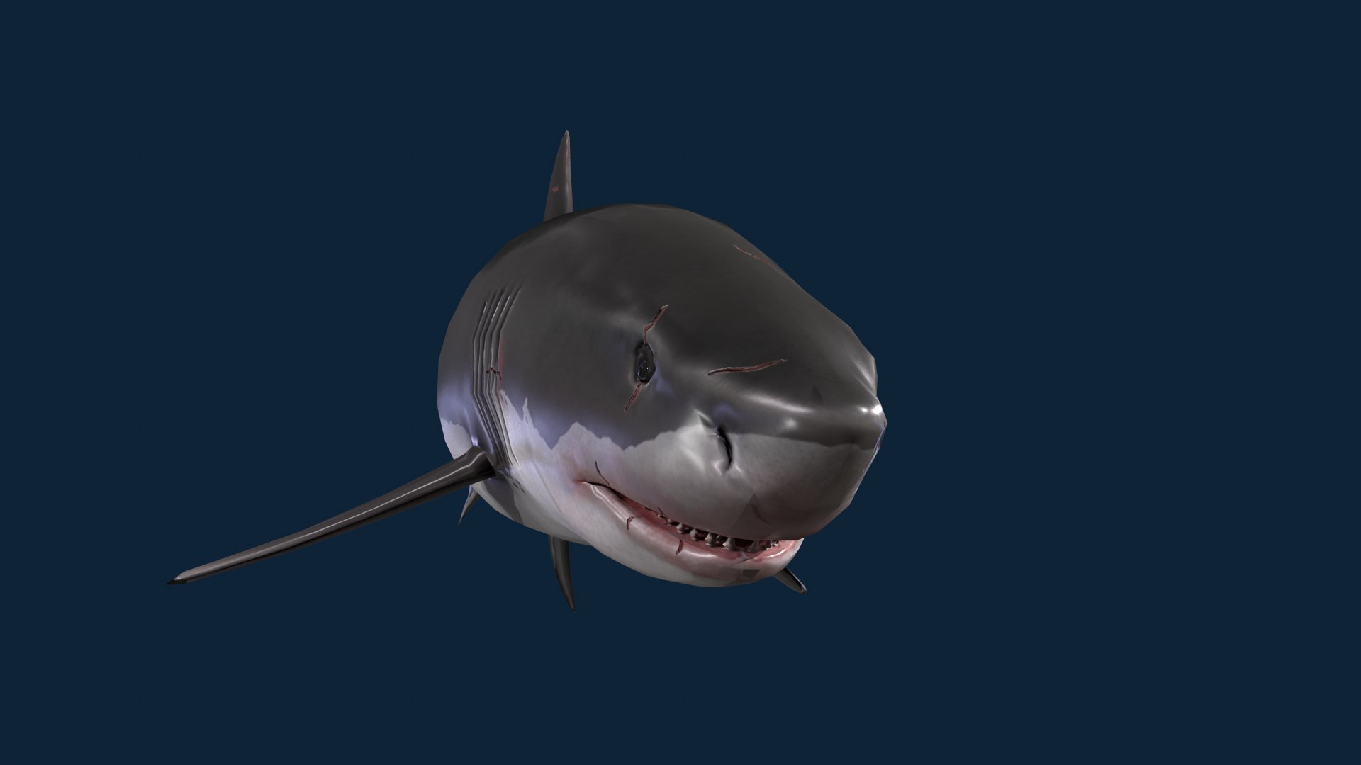 3D Realistic Shark Rigged And Animated For VR AR Games Low-poly 3D ...