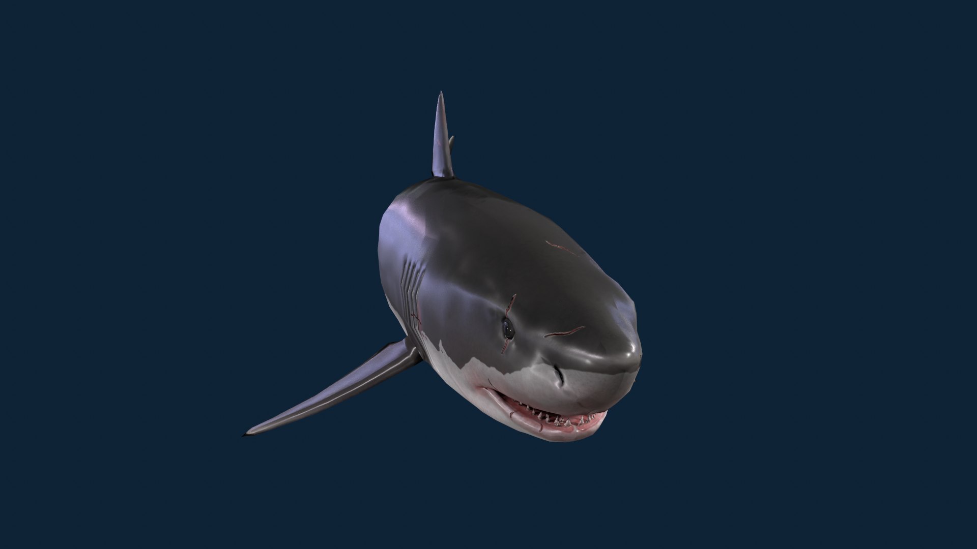 3D Realistic Shark Rigged And Animated For VR AR Games Low-poly 3D ...