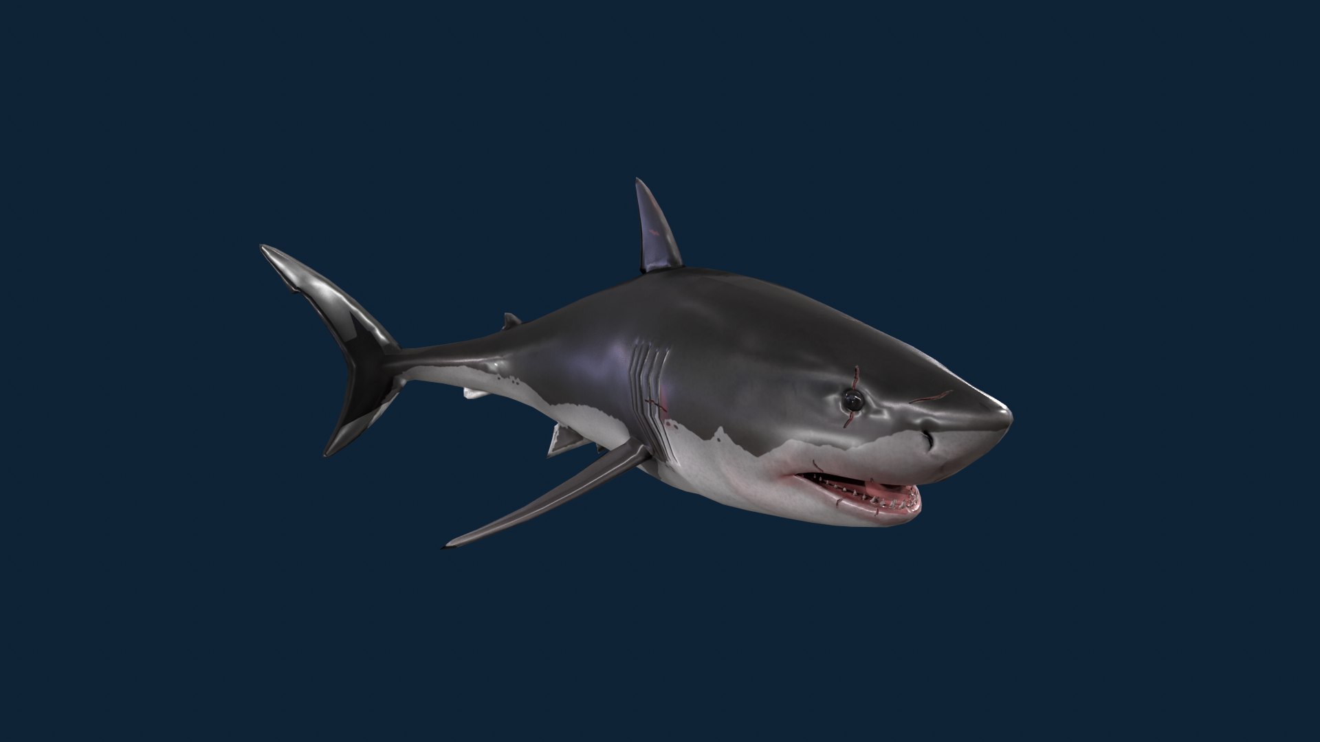 3D Realistic Shark Rigged And Animated For VR AR Games Low-poly 3D ...