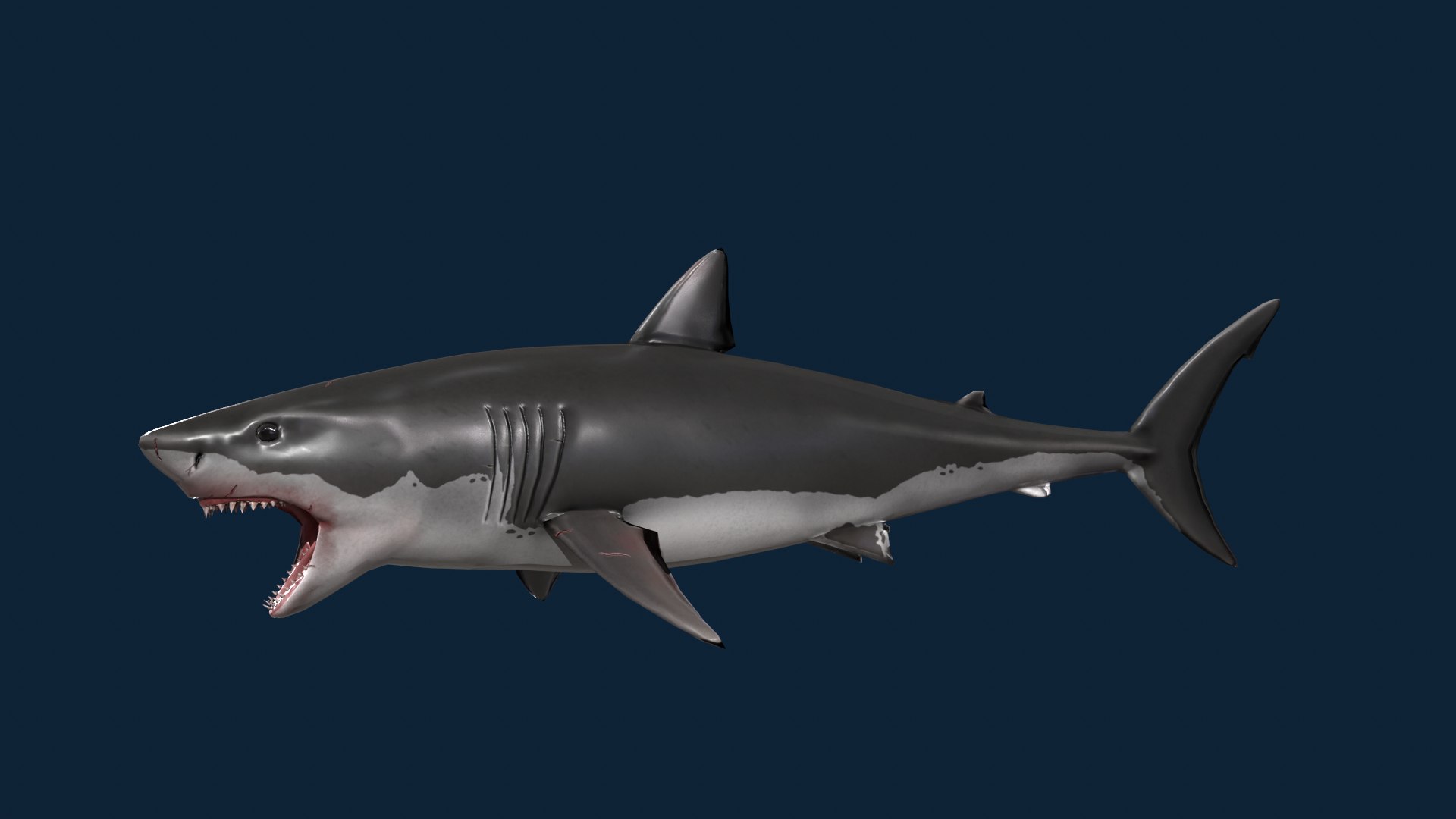 3D Realistic Shark Rigged And Animated For VR AR Games Low-poly 3D ...
