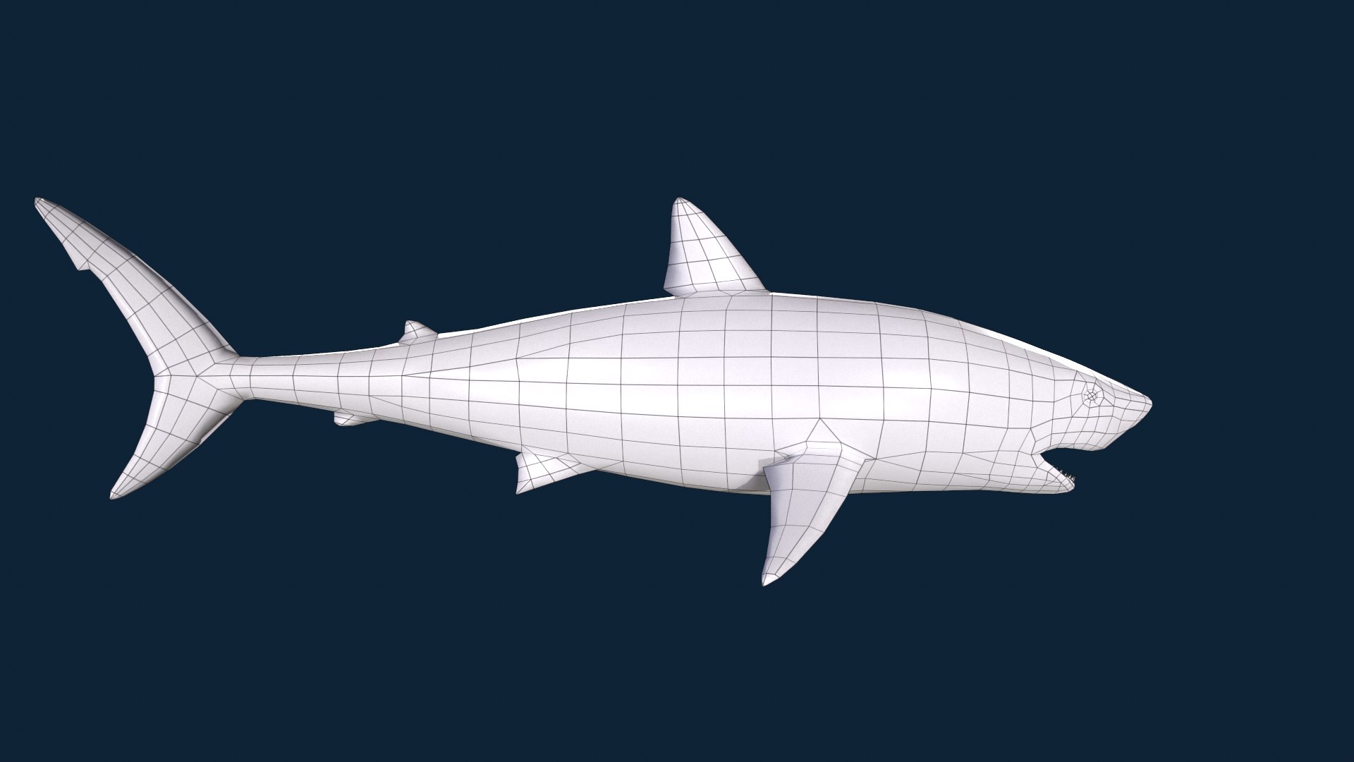 3D Realistic Shark Rigged And Animated For VR AR Games Low-poly 3D Model Model - TurboSquid 2410738