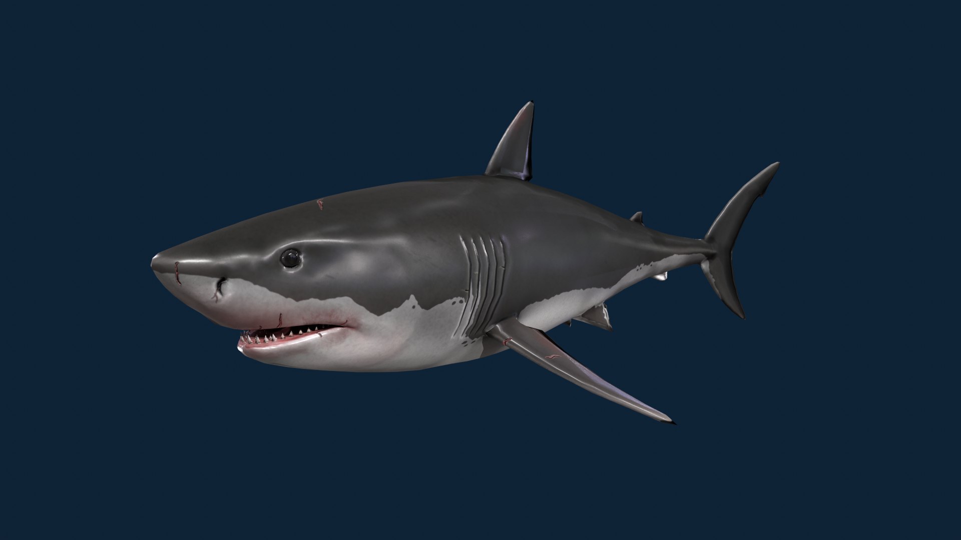 3D Realistic Shark Rigged And Animated For VR AR Games Low-poly 3D ...