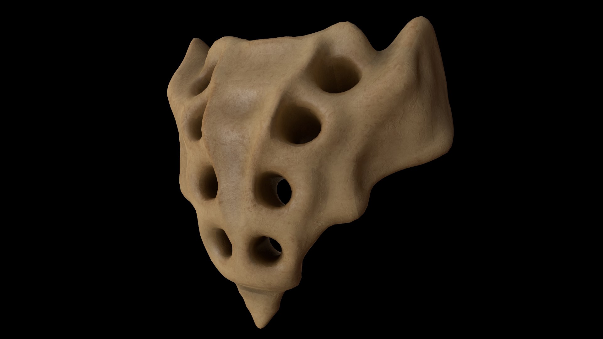 Human Sacrum Spine 3D Model - TurboSquid 1381130