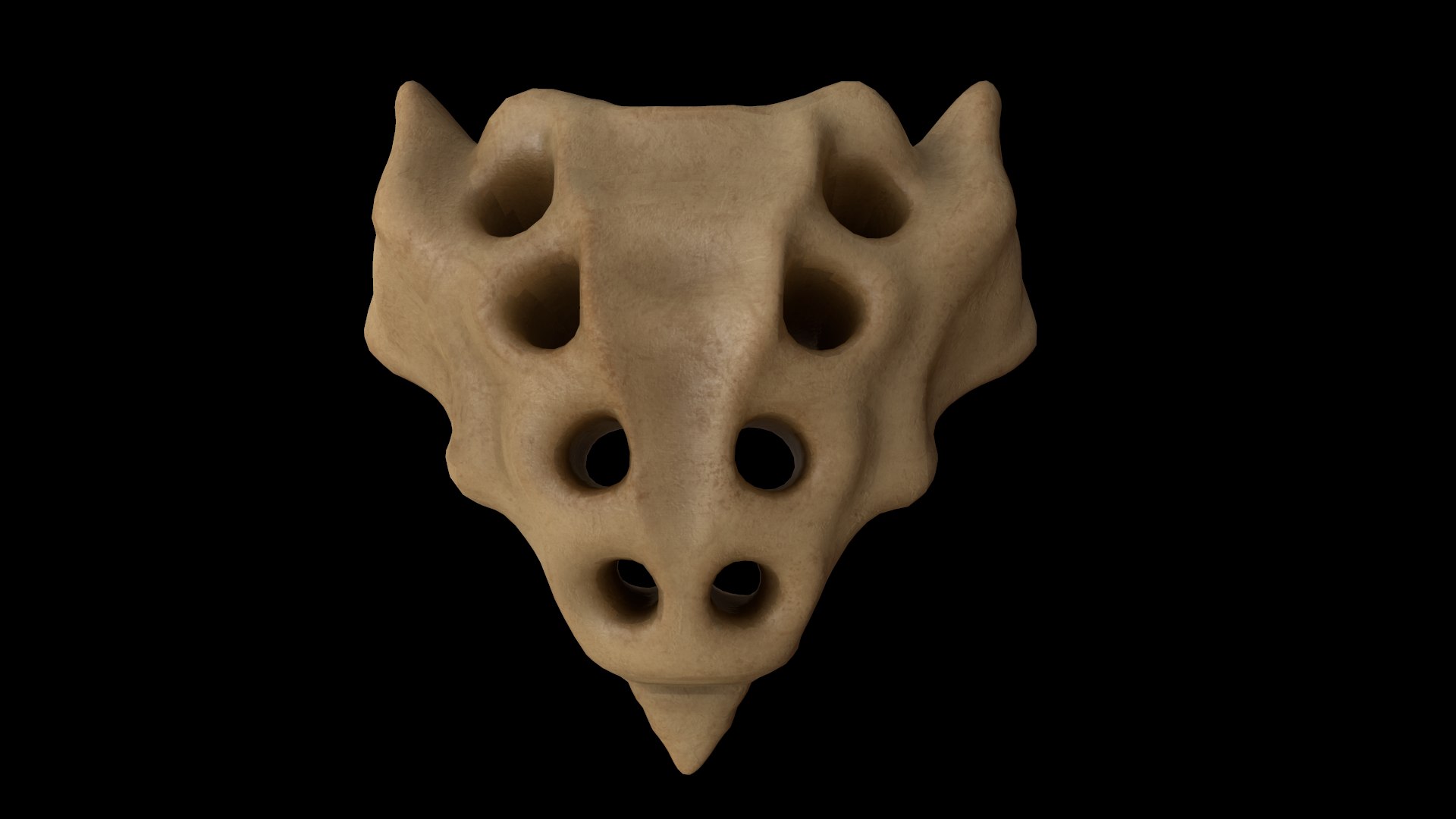 Human Sacrum Spine 3D Model - TurboSquid 1381130