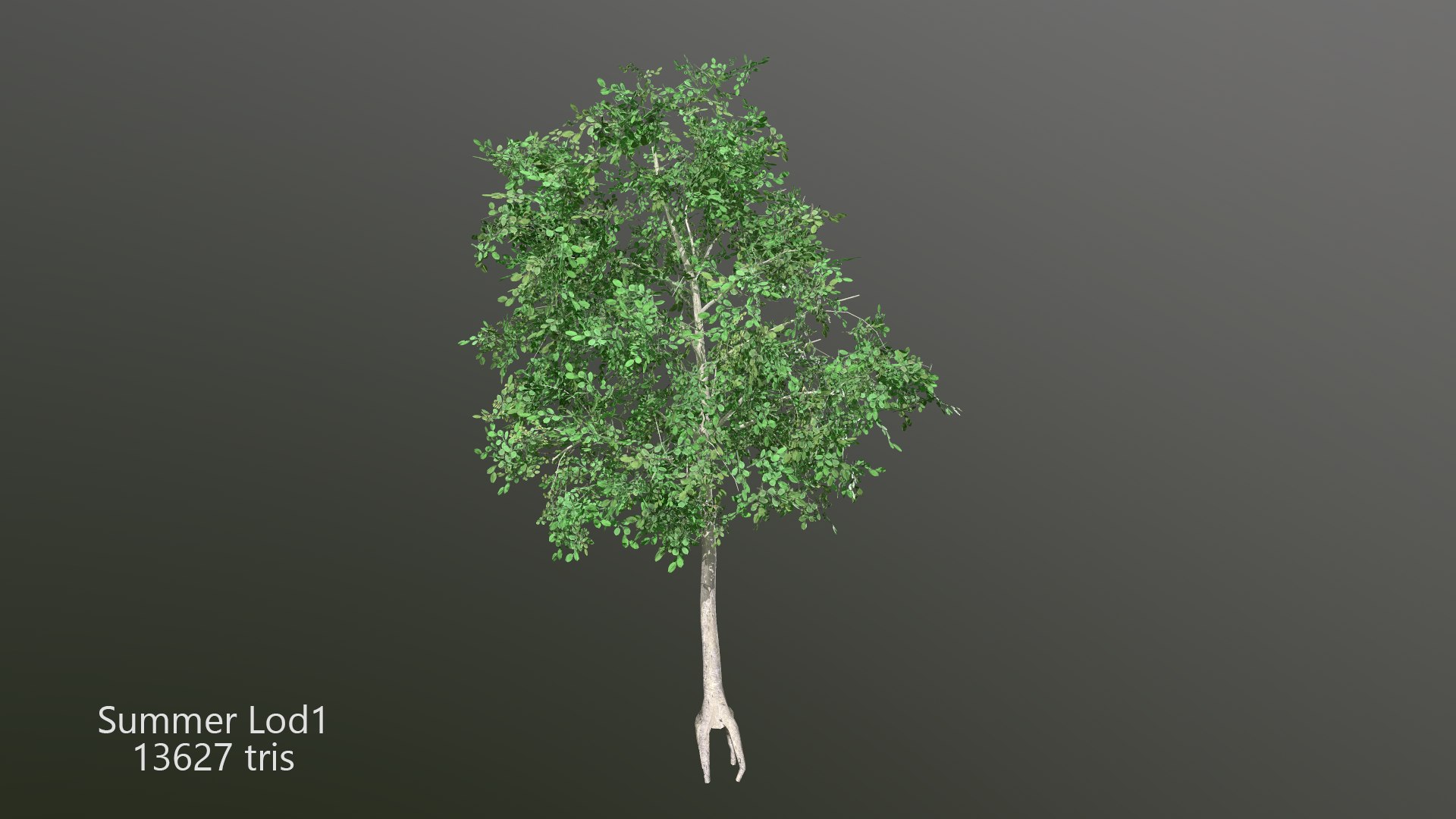 3D Model Aspen Tree - - TurboSquid 1401664