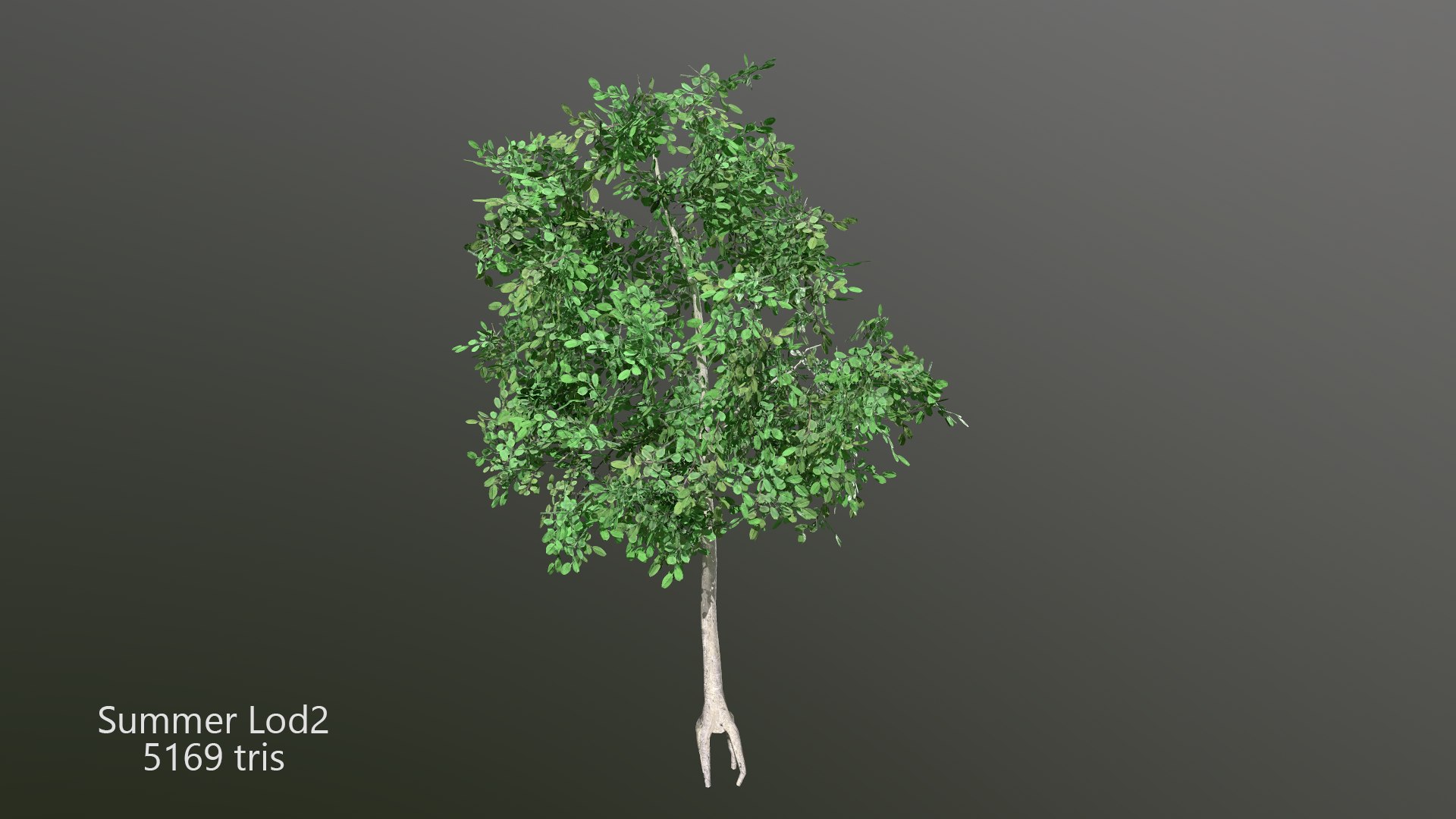 3D Model Aspen Tree - - TurboSquid 1401664