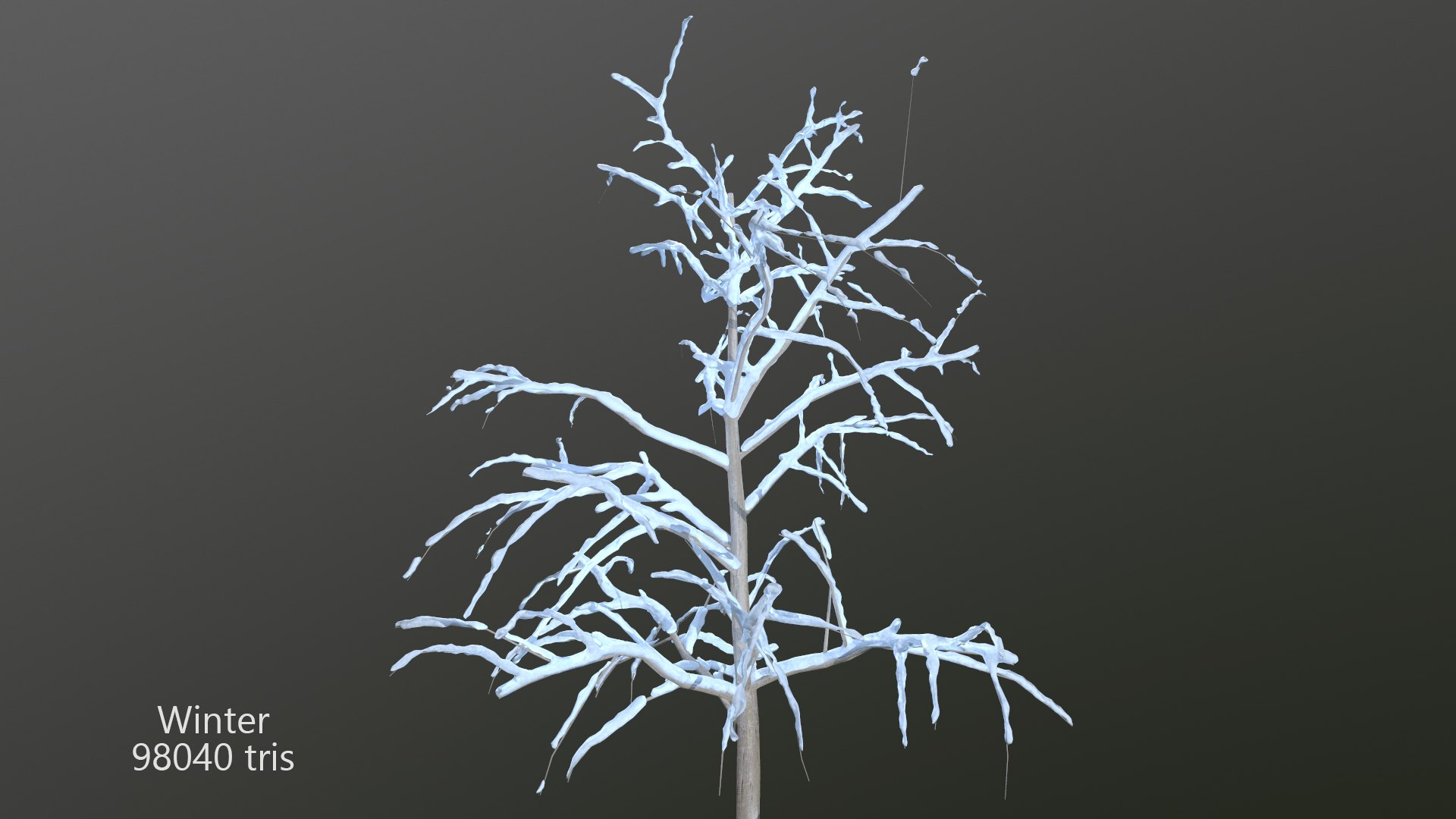 3D Model Aspen Tree - - TurboSquid 1401664